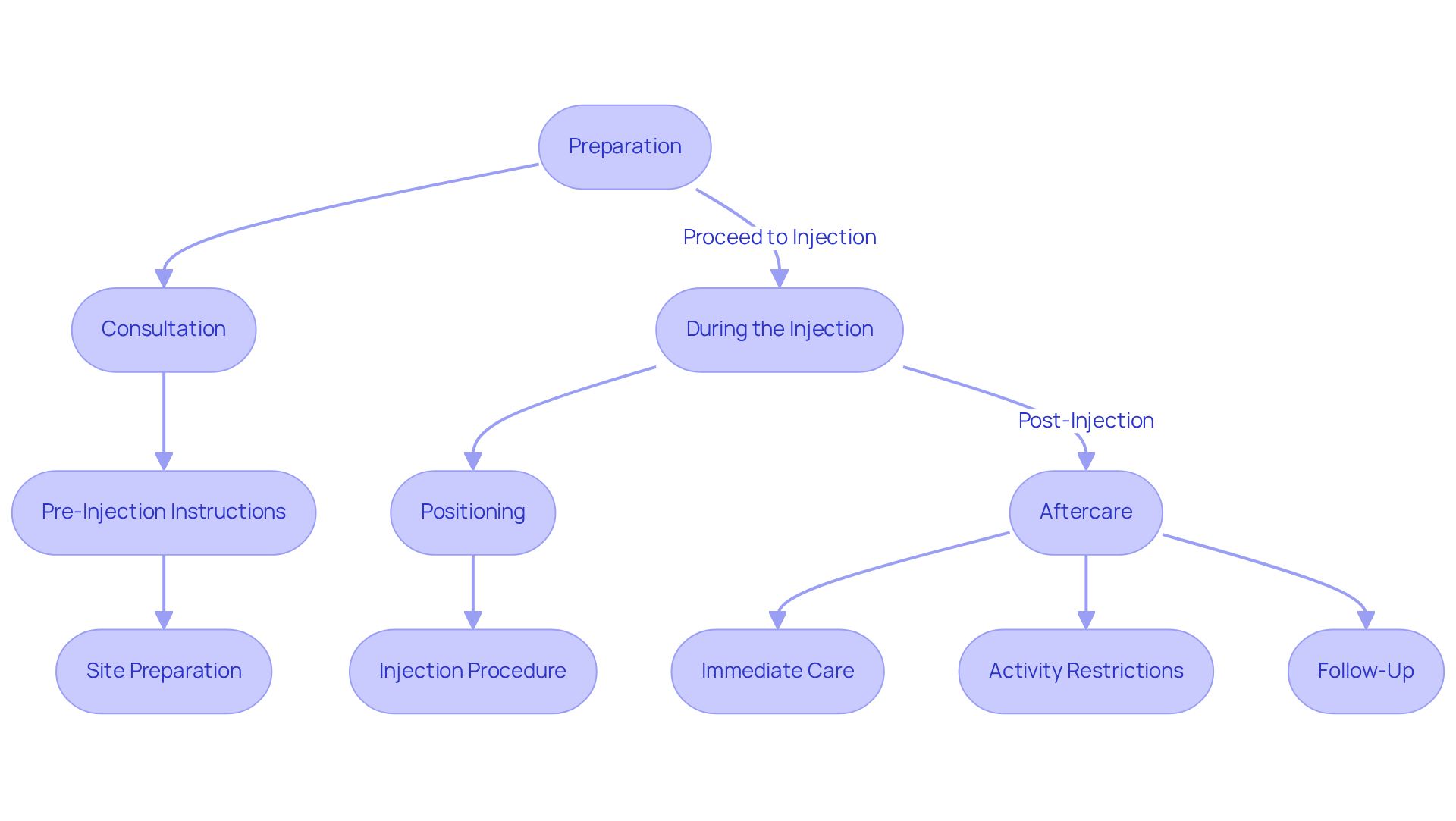 This flowchart guides you through the injection process. Start with preparation steps, then see what happens during the injection, and finally, follow the aftercare instructions. Each box represents a step you should take, and the arrows show you the order to follow. This flowchart guides you through the injection process. Start with preparation steps, then see what happens during the injection, and finally, follow the aftercare instructions. Each box represents a step you should take, and the arrows show you the order to follow.