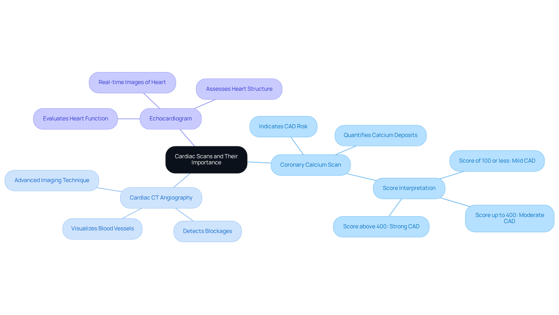 This mindmap starts with the central idea of cardiac scans and branches out into different types of scans. Each branch explains what the scan does and why it's important for heart health, especially for older adults. Follow the branches to see how each scan contributes to understanding and managing heart conditions.