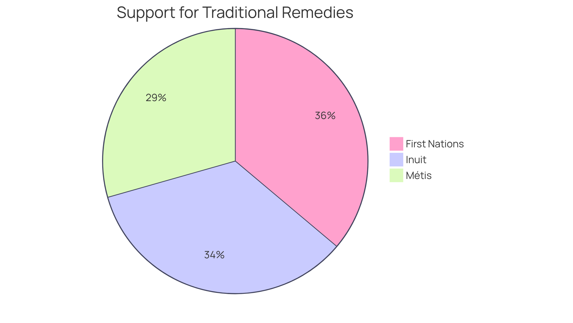 Each slice of the pie shows how many people from each Indigenous group believe that traditional remedies are important in healthcare. The larger the slice, the more people support that view.