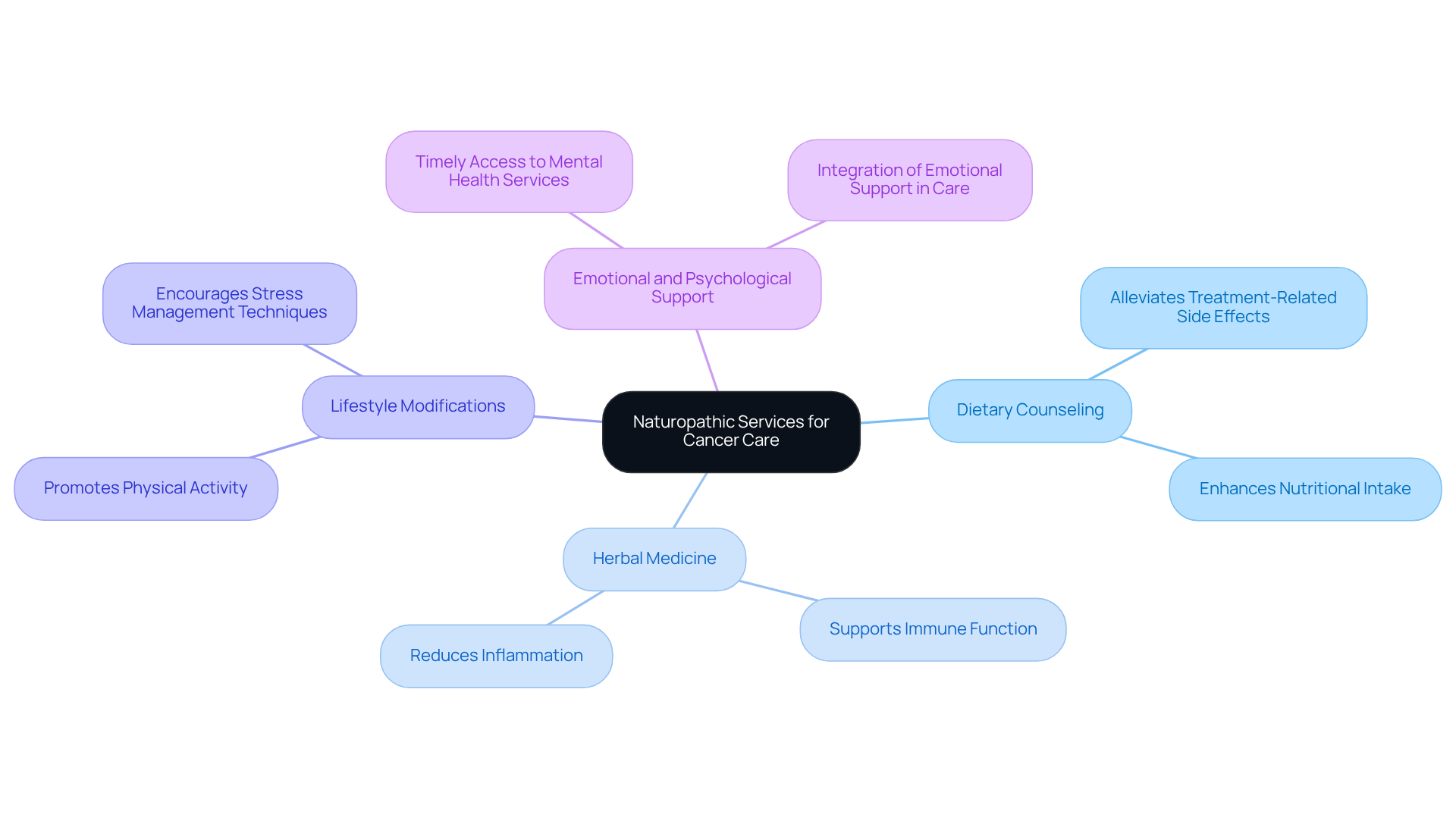 The center represents the overall approach to wellness in cancer care, while the branches show specific services and their contributions to patient health. Each color-coded branch helps you quickly identify different areas of focus.
