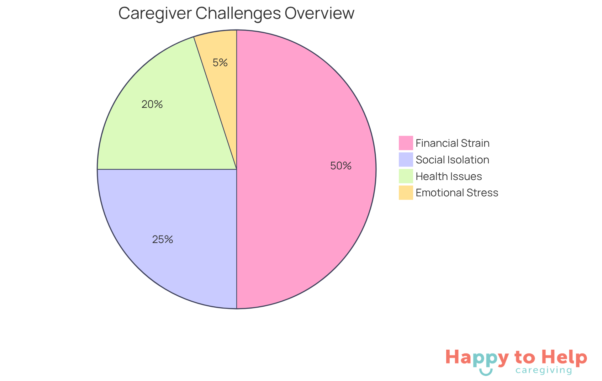 Each slice of the pie shows the percentage of caregivers facing that specific challenge. A larger slice means more caregivers are affected by that issue.