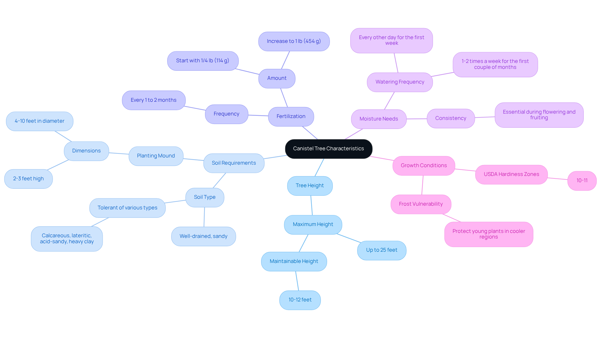 This mindmap shows the important traits and needs of the canistel tree. Each branch represents a key area of care, helping you understand how to nurture these trees effectively.