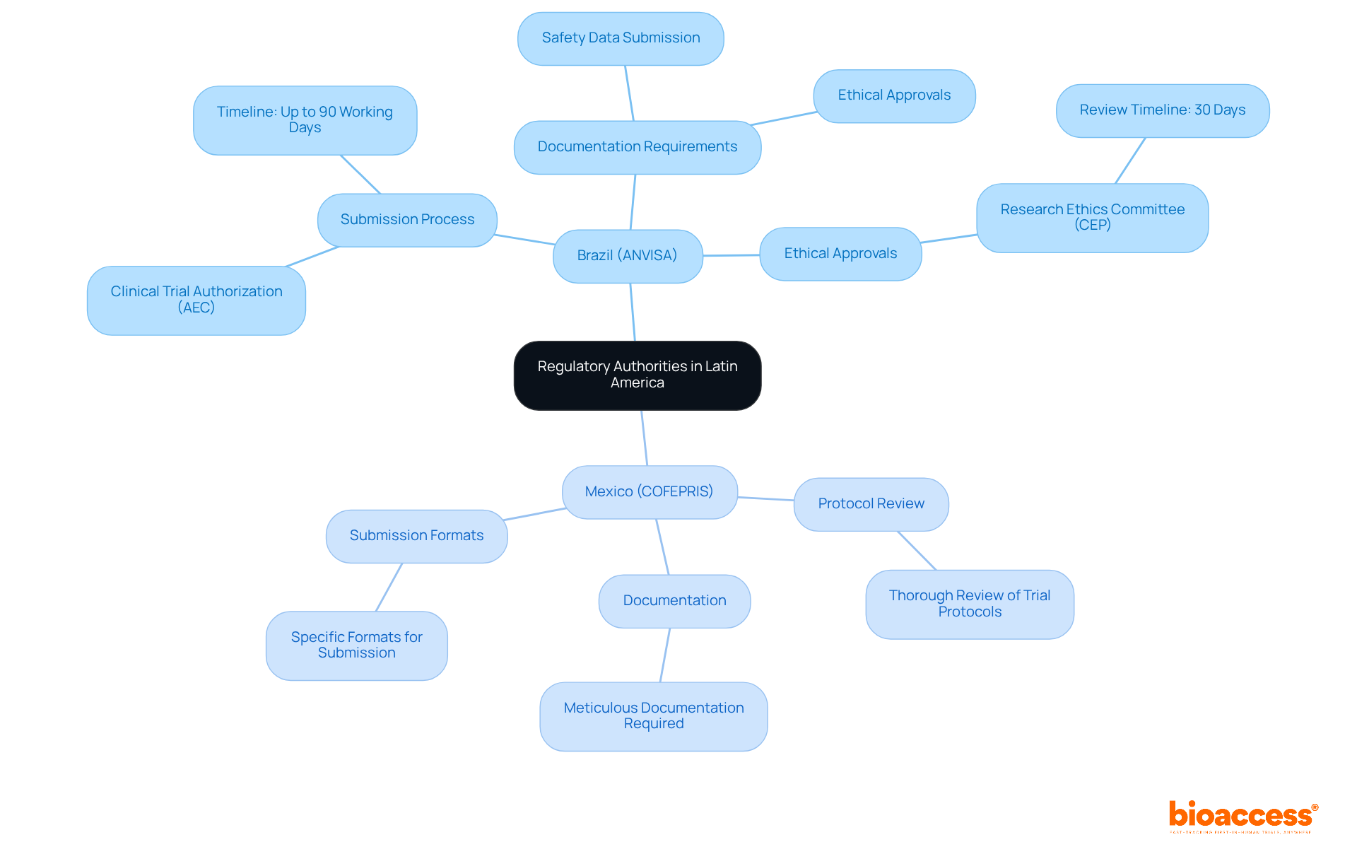The central node represents the overall topic, while the branches show specific authorities and their requirements. Each sub-branch provides detailed actions needed for compliance.