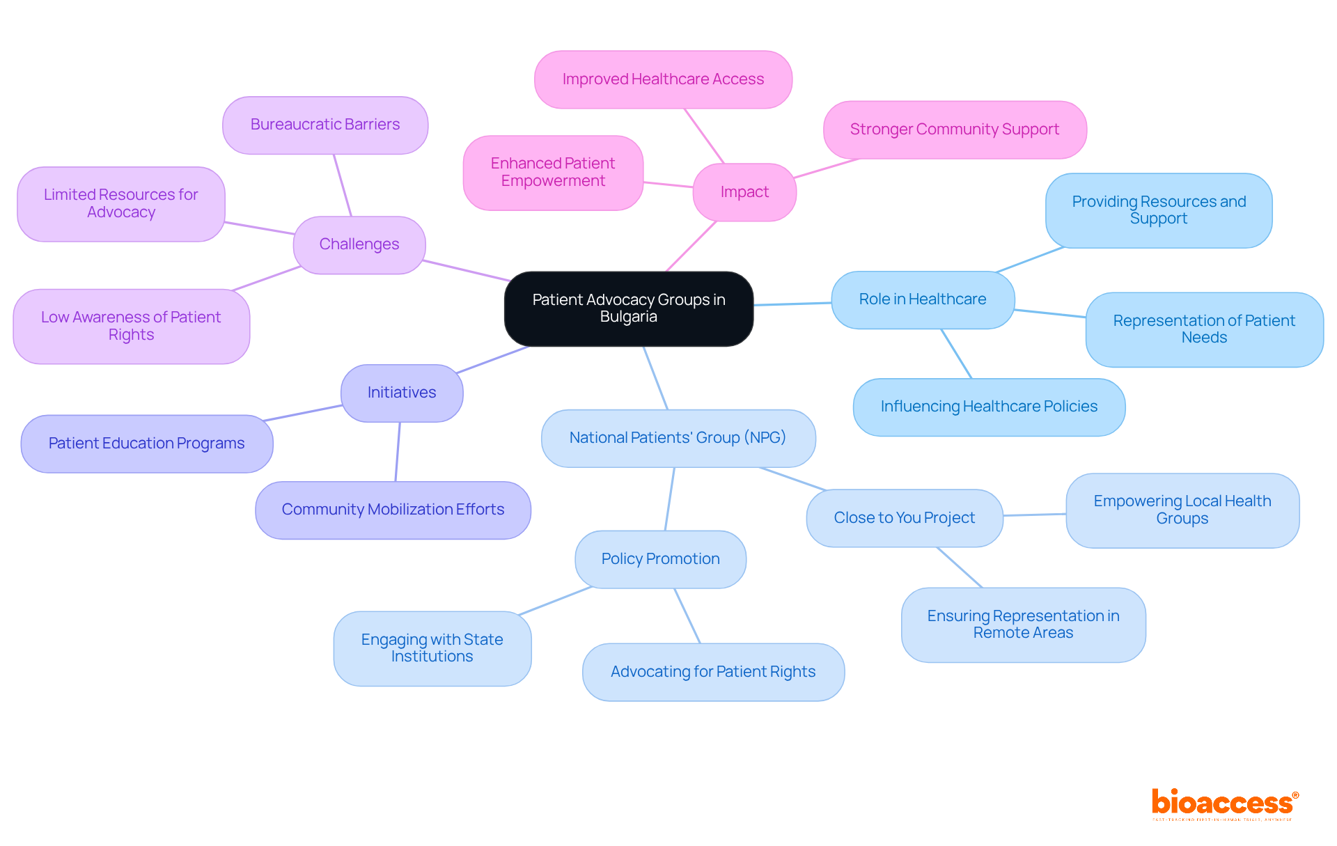 The central node represents the overall theme, while branches show specific roles, initiatives, and challenges faced by advocacy groups. Each color-coded branch helps you quickly identify different aspects of their work.