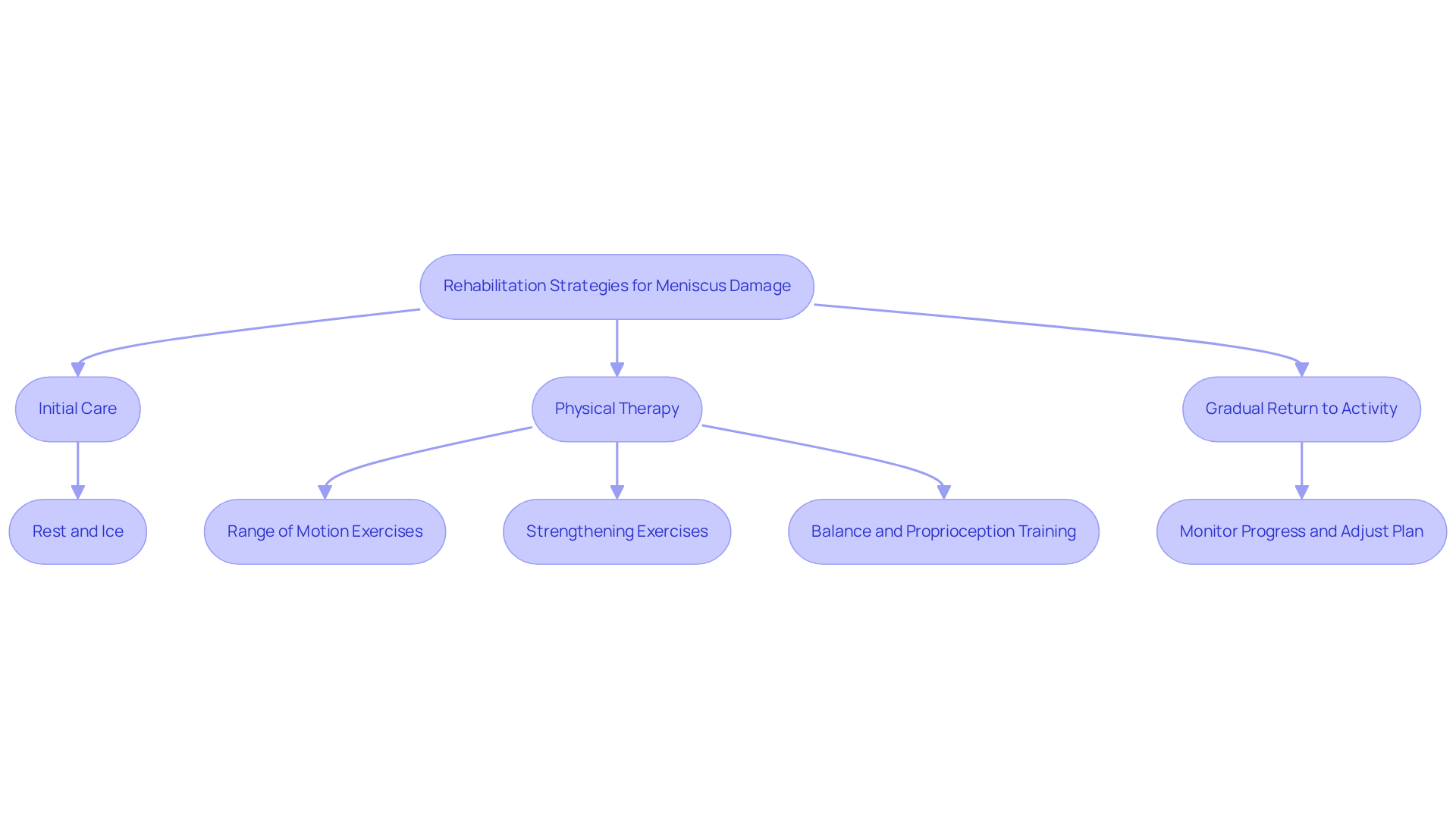 This flowchart guides you through the steps of recovering from meniscus damage. Start with initial care, then move on to physical therapy exercises, and finally, learn how to gradually return to your activities. Each step is designed to help you regain mobility and confidence in your knee.