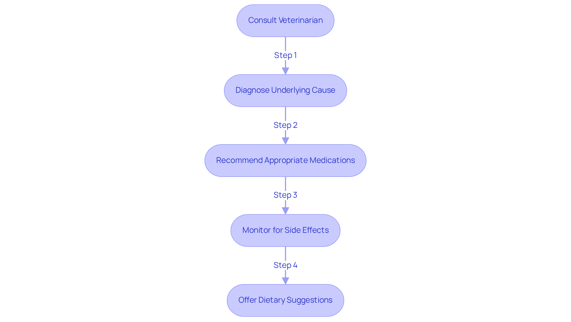 Follow the arrows to understand each step when seeking help for your dog's inflammation. Each box represents an important action taken by your veterinarian to ensure your pet's health.