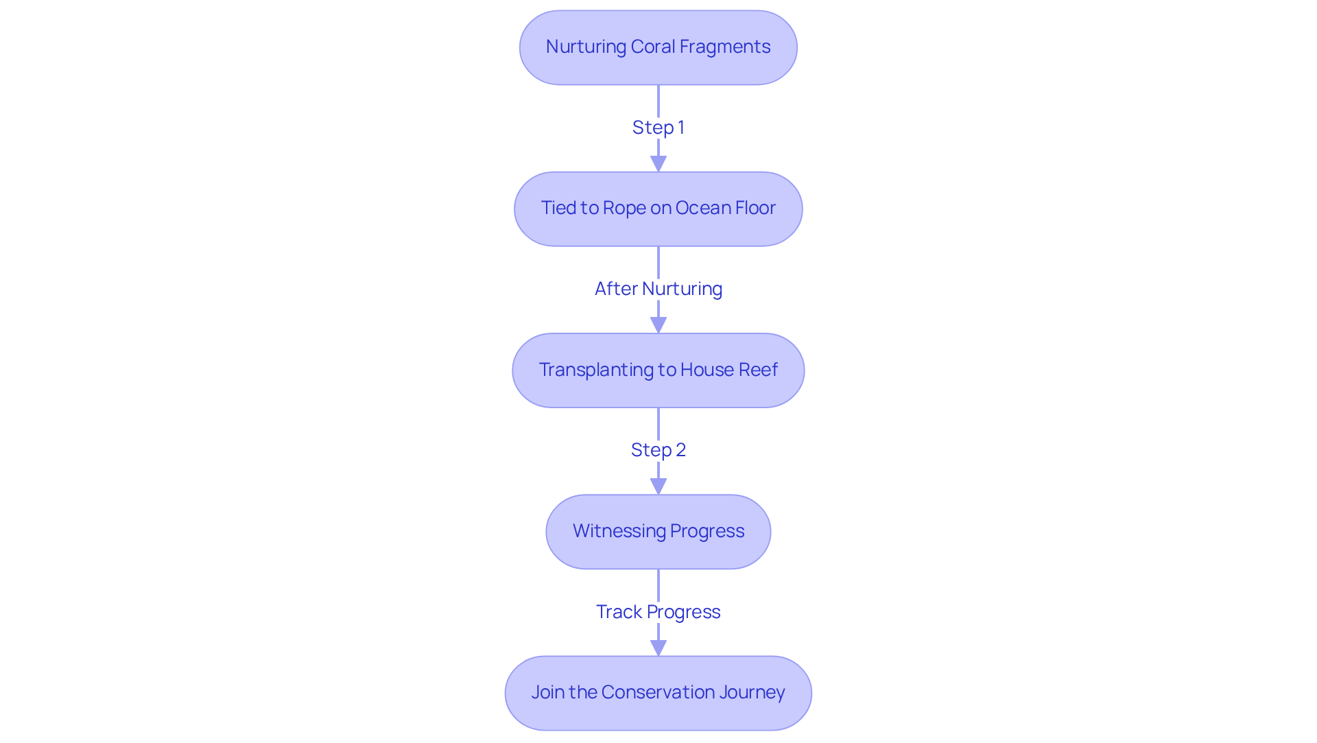 Follow the arrows to see how coral fragments are nurtured and then transplanted. Each step shows how you can be part of the conservation journey. Follow the arrows to see how coral fragments are nurtured and then transplanted. Each step shows how you can be part of the conservation journey.