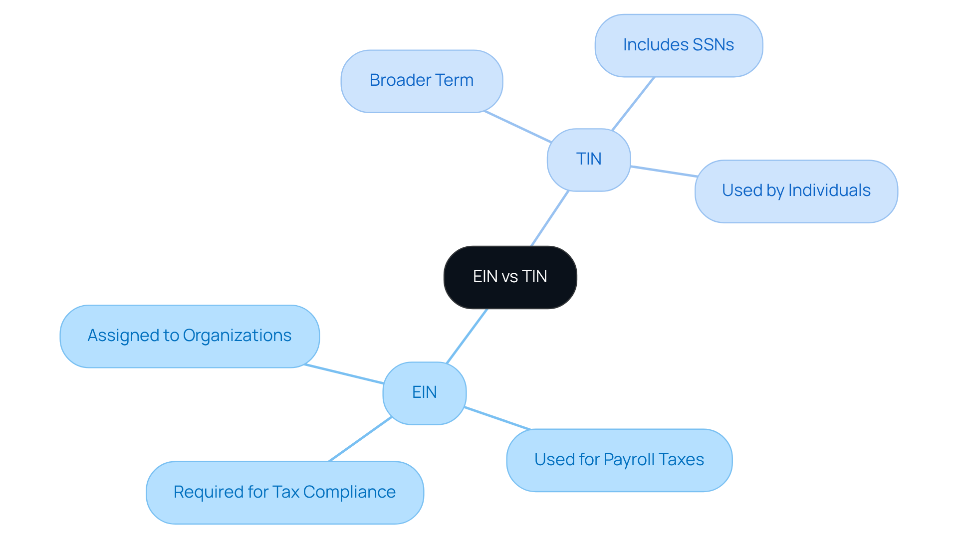 The central node represents the comparison topic, while the branches show the specific characteristics and applications of EIN and TIN. Follow the branches to understand how they differ and relate to each other. The central node represents the comparison topic, while the branches show the specific characteristics and applications of EIN and TIN. Follow the branches to understand how they differ and relate to each other.