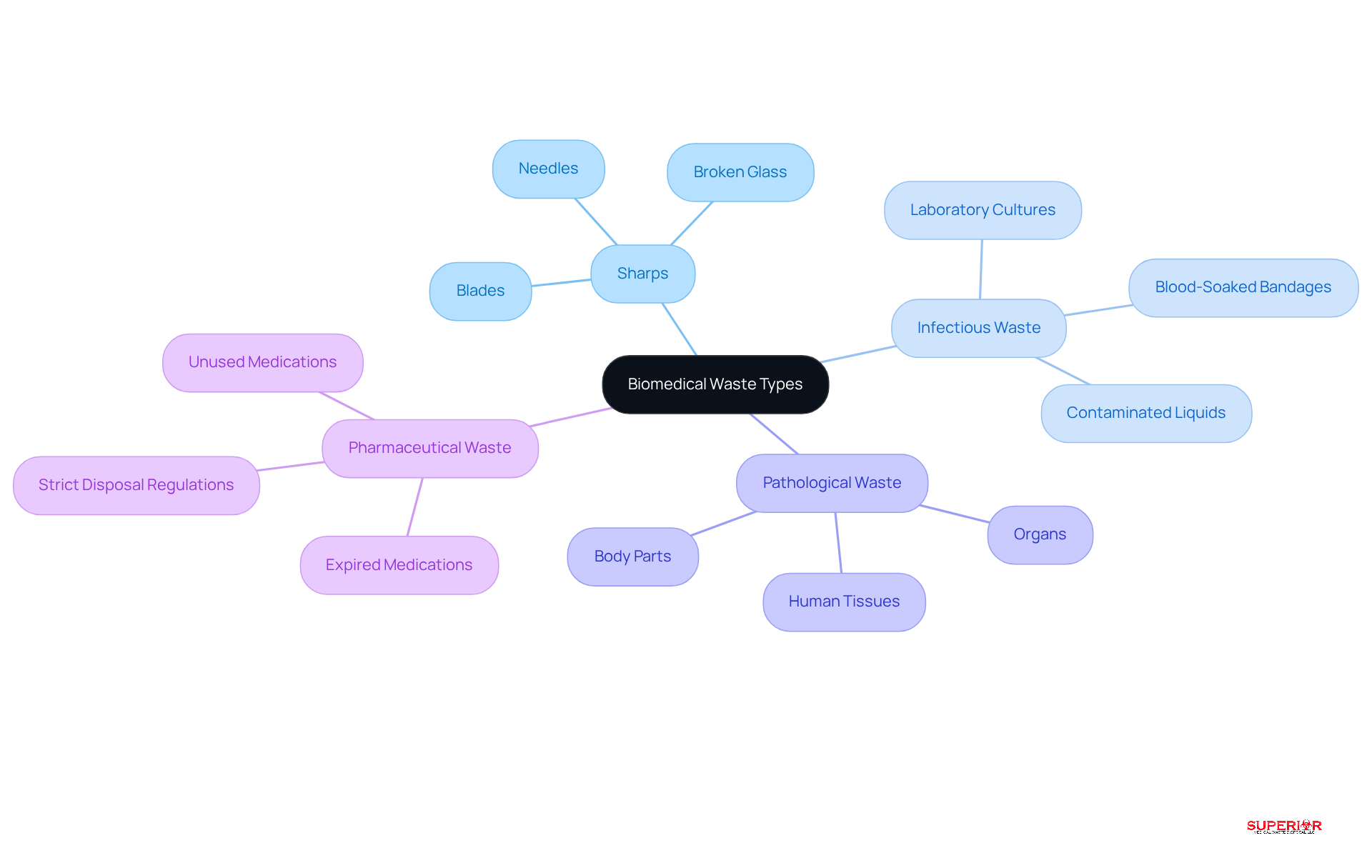 The center shows the main topic of biomedical waste, and the branches represent different categories. Each category has examples that help clarify what types of waste fall under it.