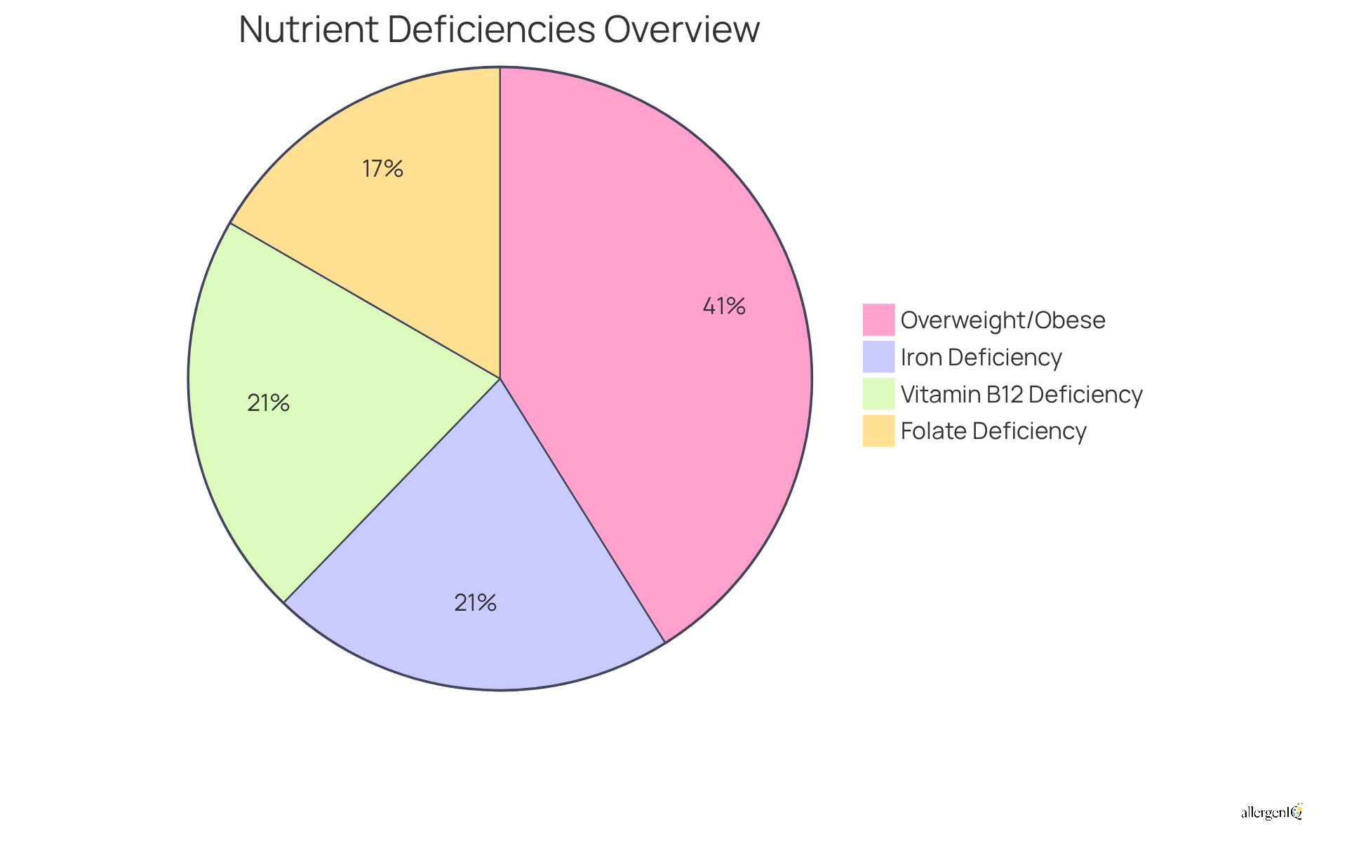 Each segment of the pie chart shows the proportion of patients with specific nutrient deficiencies or those categorized as overweight/obese. The larger the segment, the more common that deficiency or weight status is among celiac patients.