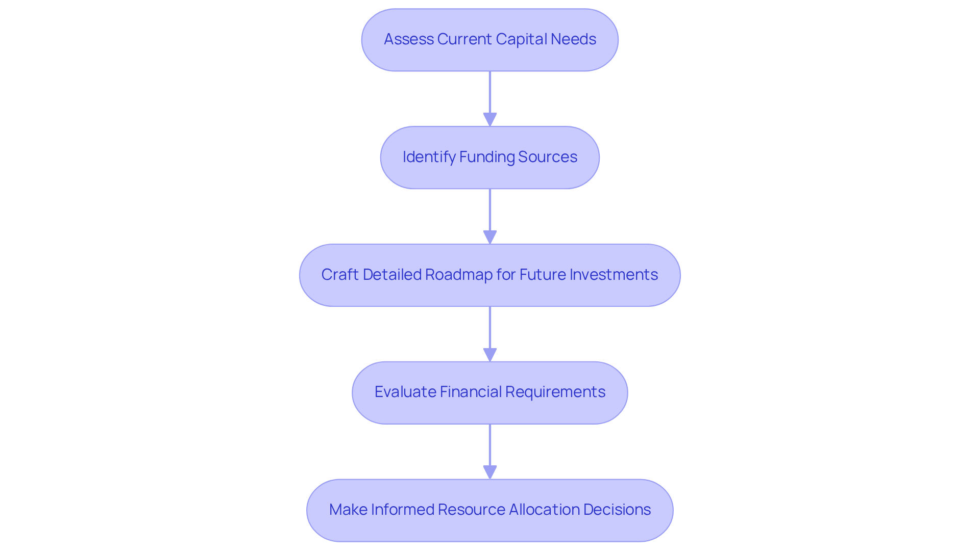 This flowchart outlines the steps vineyards should take to plan their capital strategically — follow the arrows to see how each step leads to the next as they prepare for growth opportunities.