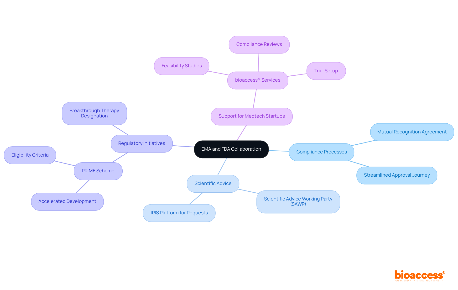This mindmap starts with the central theme of collaboration, branching out to show the various initiatives and processes involved. Each branch highlights how the EMA and FDA align their efforts, and the sub-branches provide details on specific programs and services offered by partners like bioaccess®.