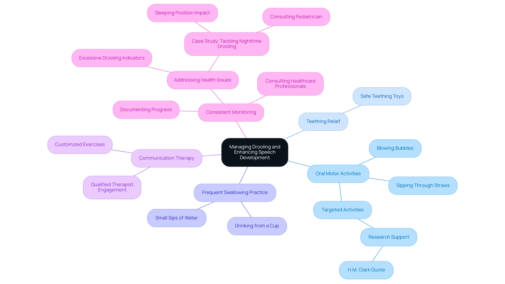 Each branch represents a specific strategy, with color-coding to differentiate between them. Sub-branches highlight key activities or points related to each strategy.