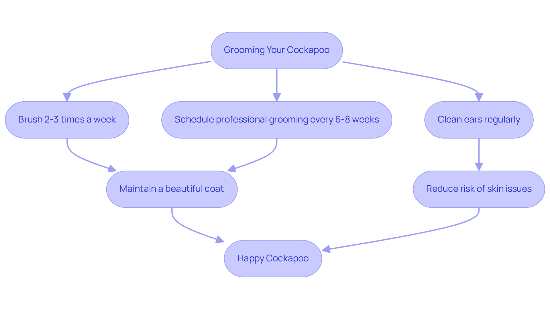 Follow the arrows to see the care steps for your Cockapoo. Each step is important for keeping your furry friend happy and healthy.