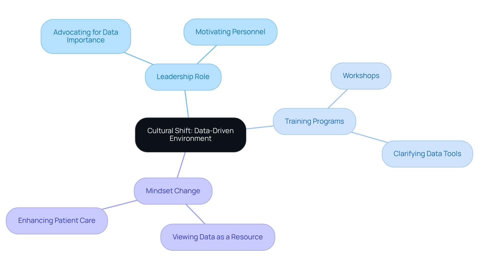 The central idea represents the cultural shift, while the branches show the key components that contribute to building a data-driven environment in healthcare.