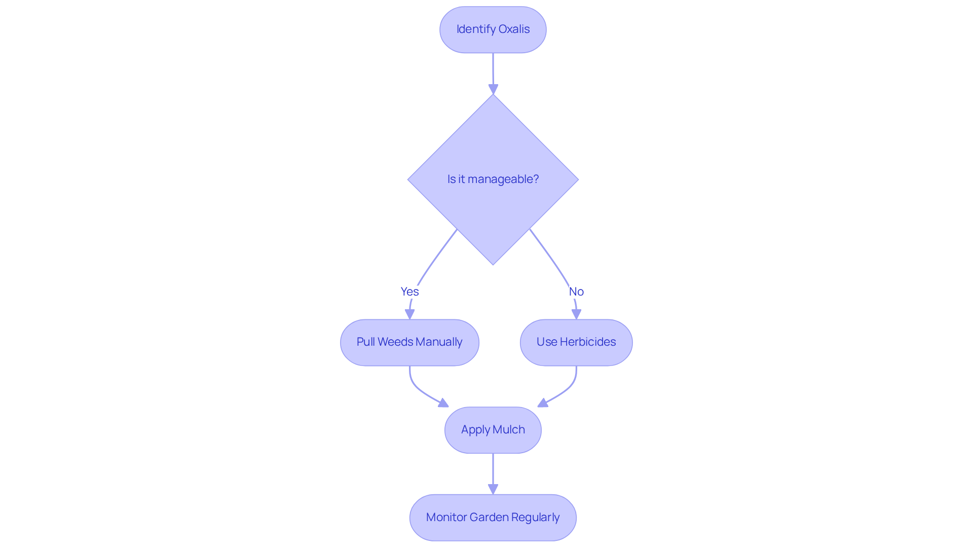This flowchart guides you through the process of managing Oxalis in your garden. Start by identifying the weed, then decide on the best action to take, whether it's pulling it out or using herbicides. Don't forget to apply mulch and keep an eye on your garden! This flowchart guides you through the process of managing Oxalis in your garden. Start by identifying the weed, then decide on the best action to take, whether it's pulling it out or using herbicides. Don't forget to apply mulch and keep an eye on your garden!