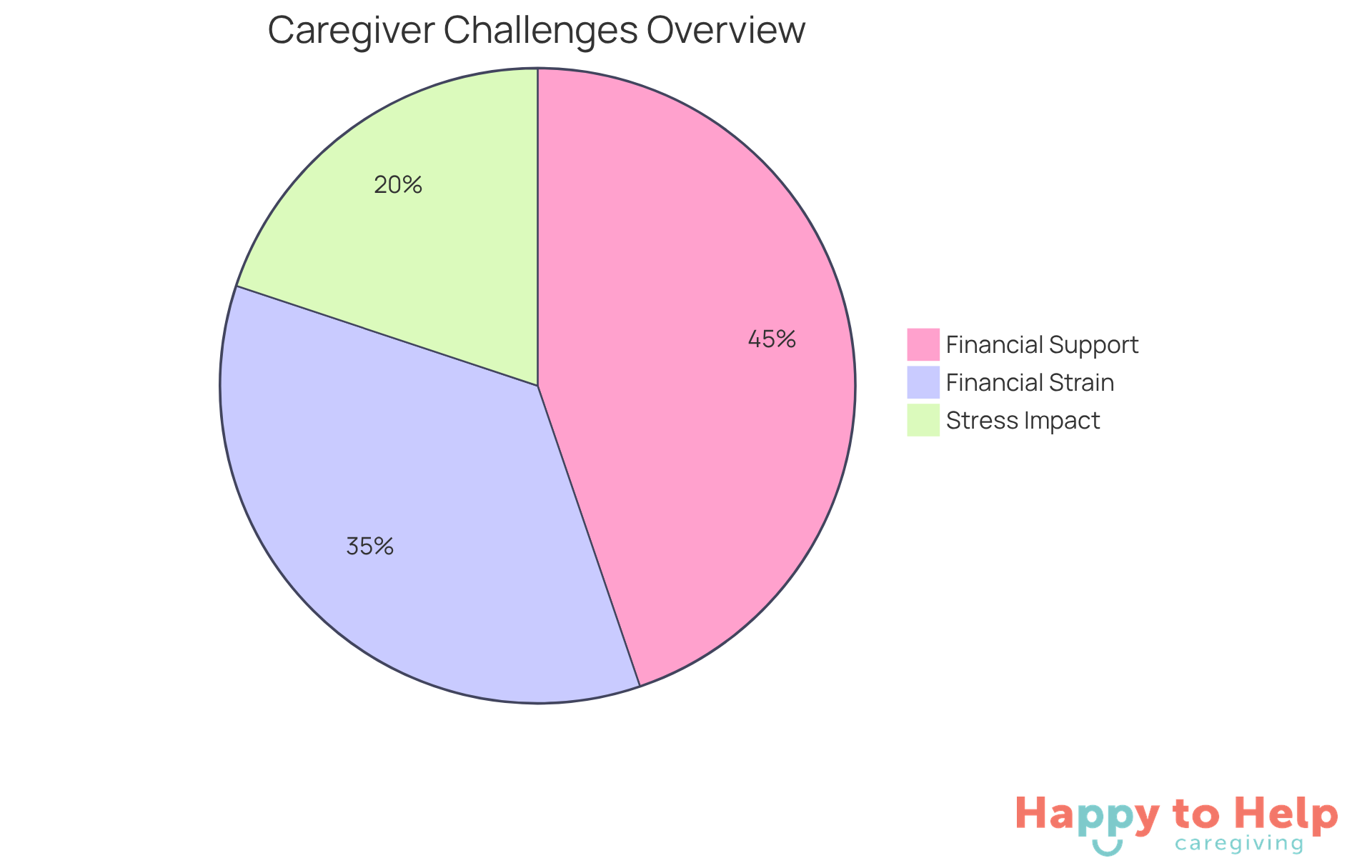Each slice of the pie represents a different challenge faced by caregivers. The larger the slice, the more caregivers are affected by that issue.