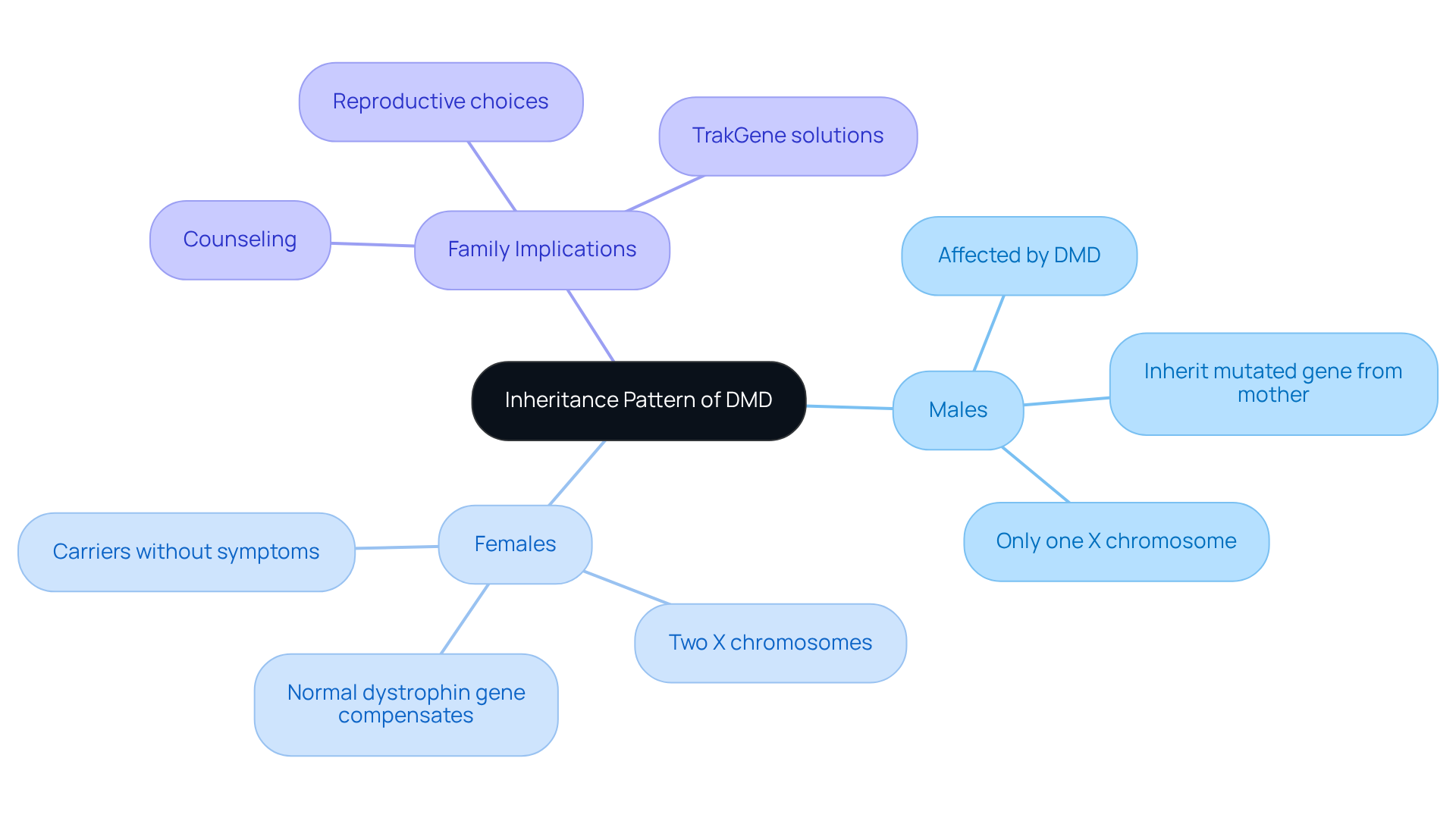 This mindmap illustrates how Duchenne Muscular Dystrophy is inherited. Start at the center with the main topic, then explore how it affects males and females differently. Each branch shows key points about inheritance and family implications, helping you understand the genetic risks involved. This mindmap illustrates how Duchenne Muscular Dystrophy is inherited. Start at the center with the main topic, then explore how it affects males and females differently. Each branch shows key points about inheritance and family implications, helping you understand the genetic risks involved.