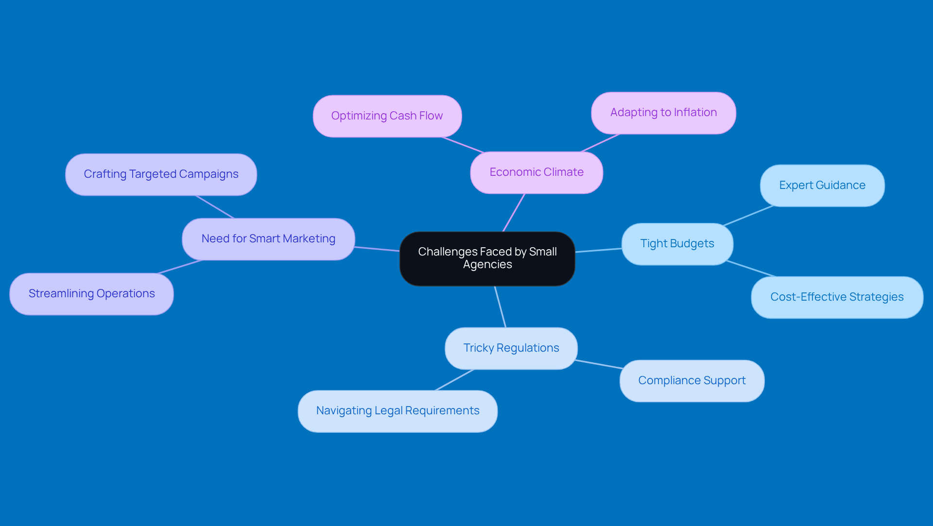 The center shows the main challenges small agencies face, and the branches illustrate how advisory firms can help tackle each issue. Follow the branches to see the connections between challenges and solutions.