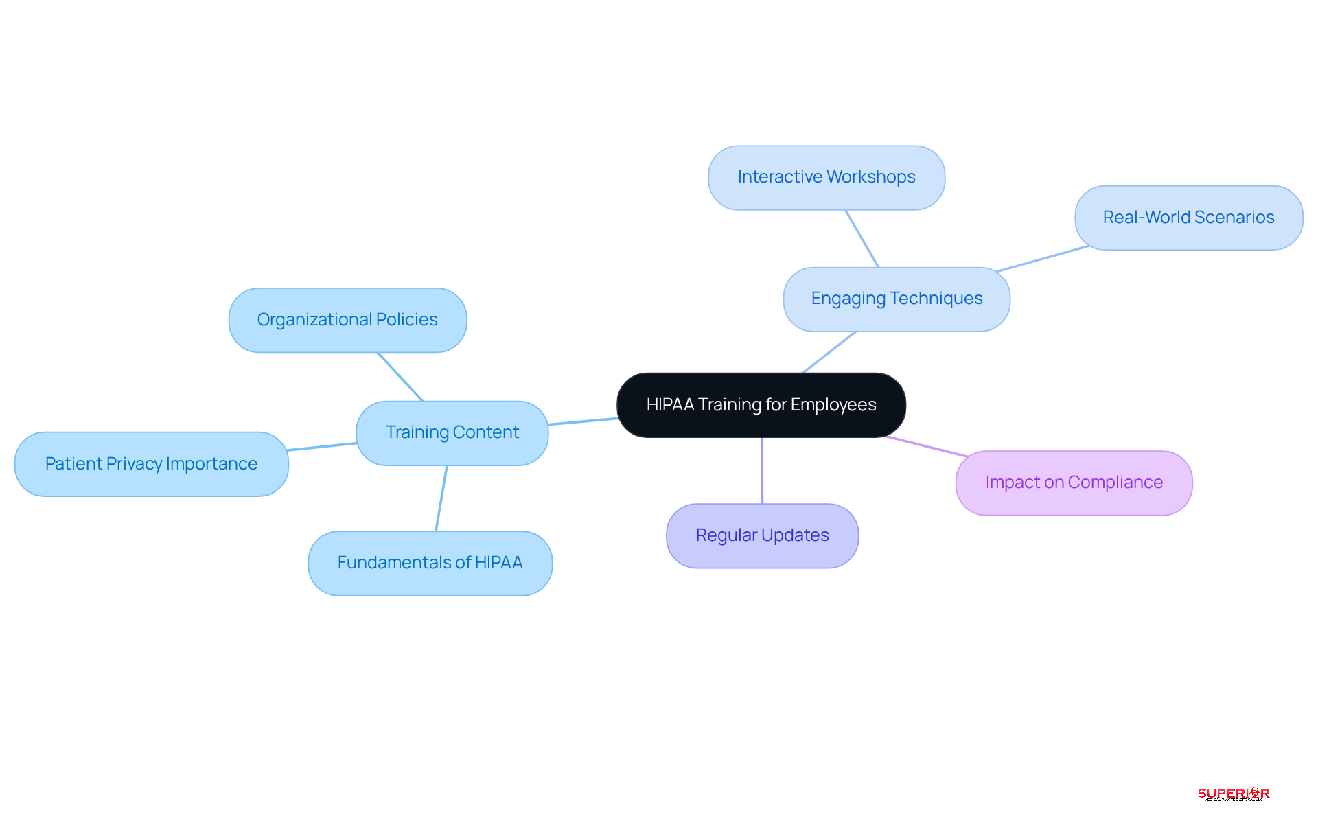 The center represents the main training focus, with branches showing different aspects of the training process. Each branch highlights important elements that contribute to effective HIPAA training.