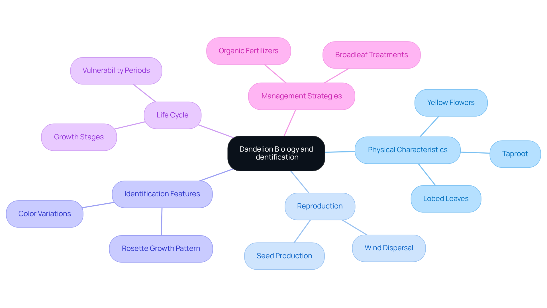 The center shows the main topic, and the branches represent different aspects of dandelions. Each sub-branch provides more details, helping you understand how to identify and manage these weeds effectively. The center shows the main topic, and the branches represent different aspects of dandelions. Each sub-branch provides more details, helping you understand how to identify and manage these weeds effectively.