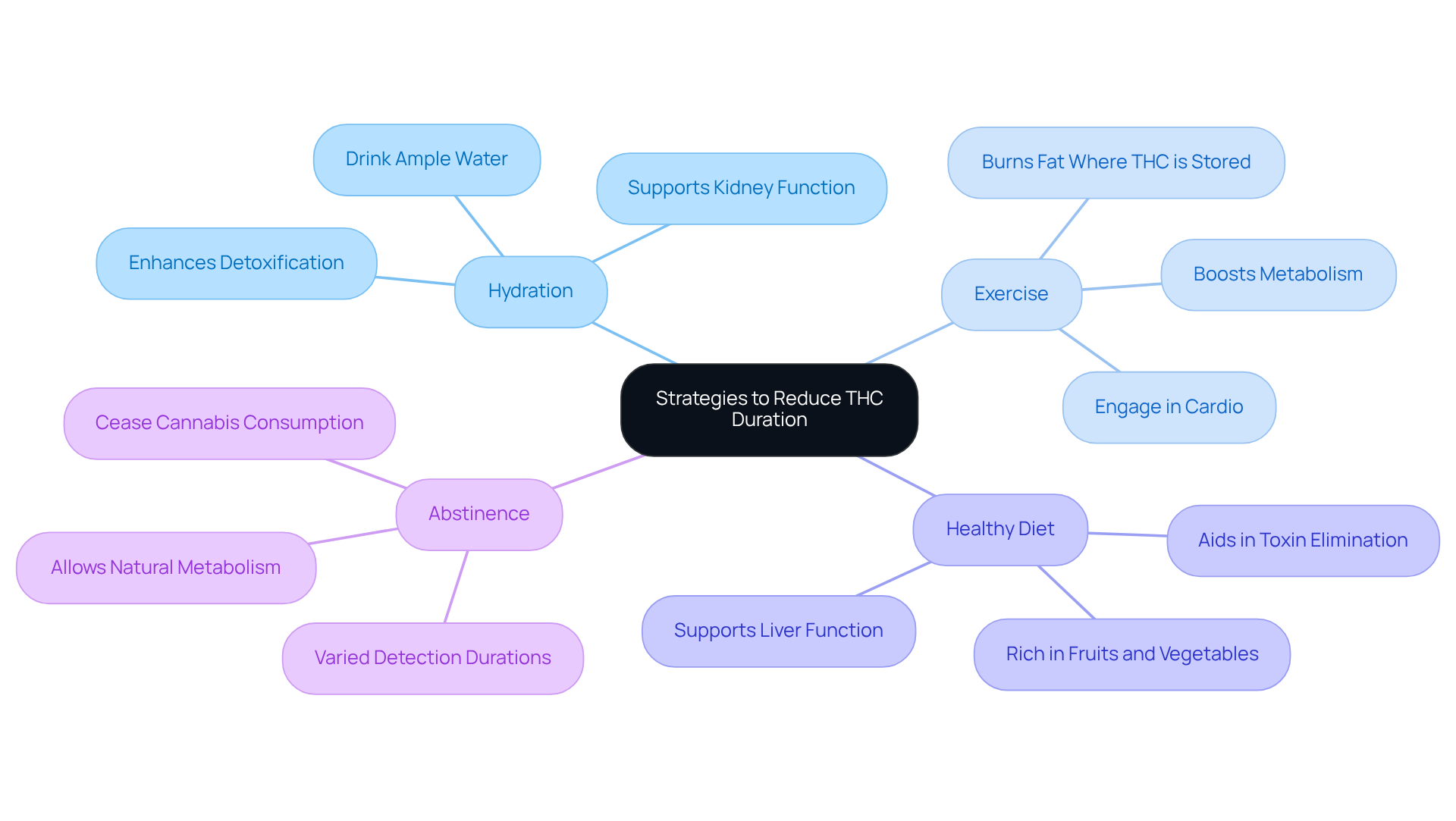 The central node represents the main goal of detoxification, while each branch shows a strategy to help achieve it. Sub-branches contain tips and details for each strategy, making it easy to visualize your detox journey. The central node represents the main goal of detoxification, while each branch shows a strategy to help achieve it. Sub-branches contain tips and details for each strategy, making it easy to visualize your detox journey.