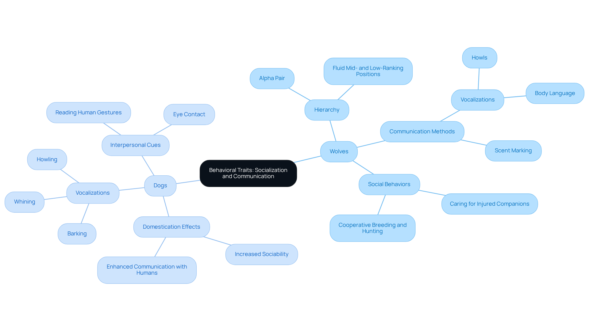 At the center is the main topic of behavioral traits, with branches representing wolves and dogs. Each sub-branch details specific traits or behaviors, illustrating how these two species differ in socialization and communication.