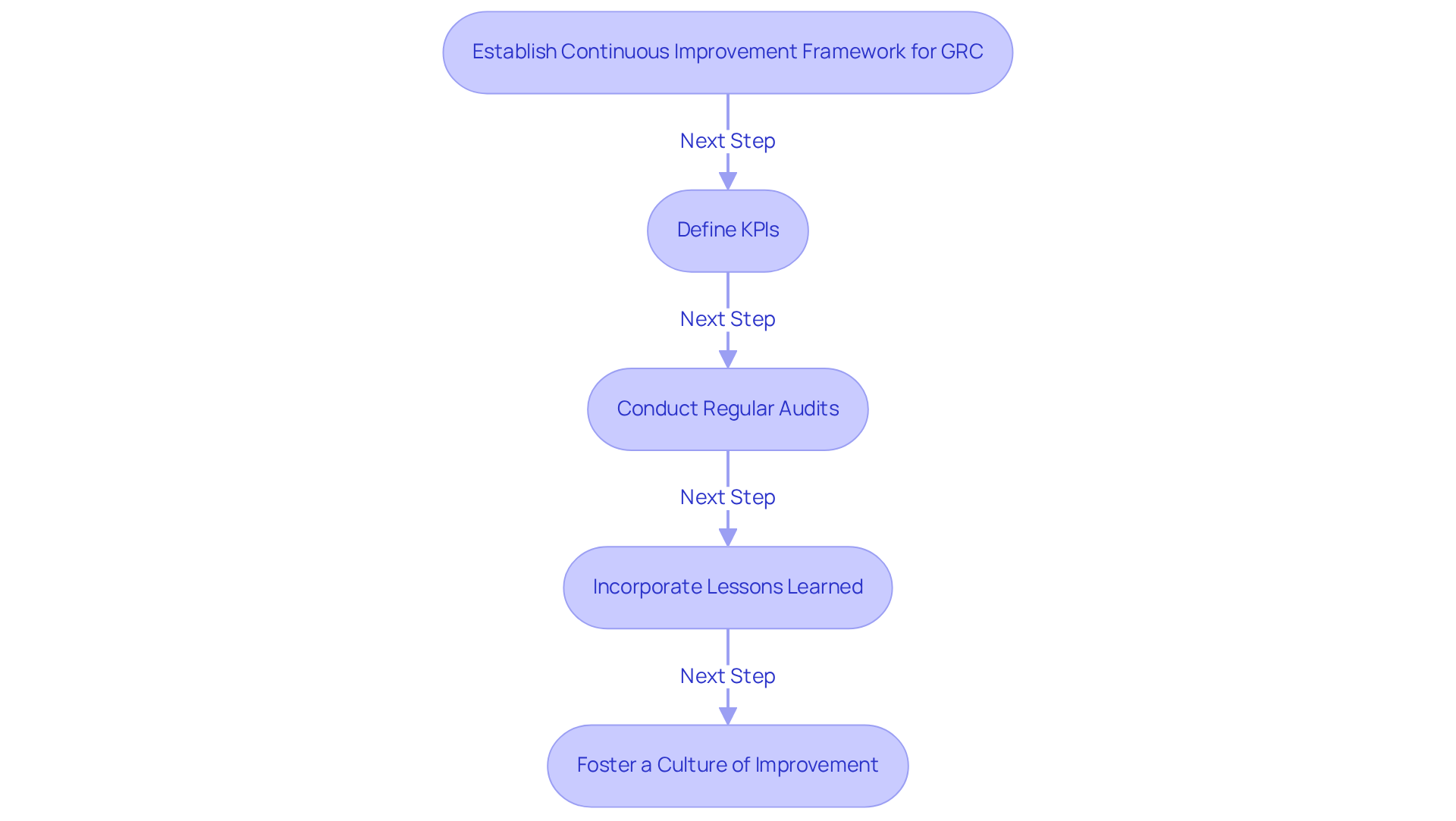 Follow the arrows to see how each step builds on the previous one. Starting from establishing the framework, you'll define KPIs, conduct audits, learn from experiences, and create a culture of ongoing improvement.