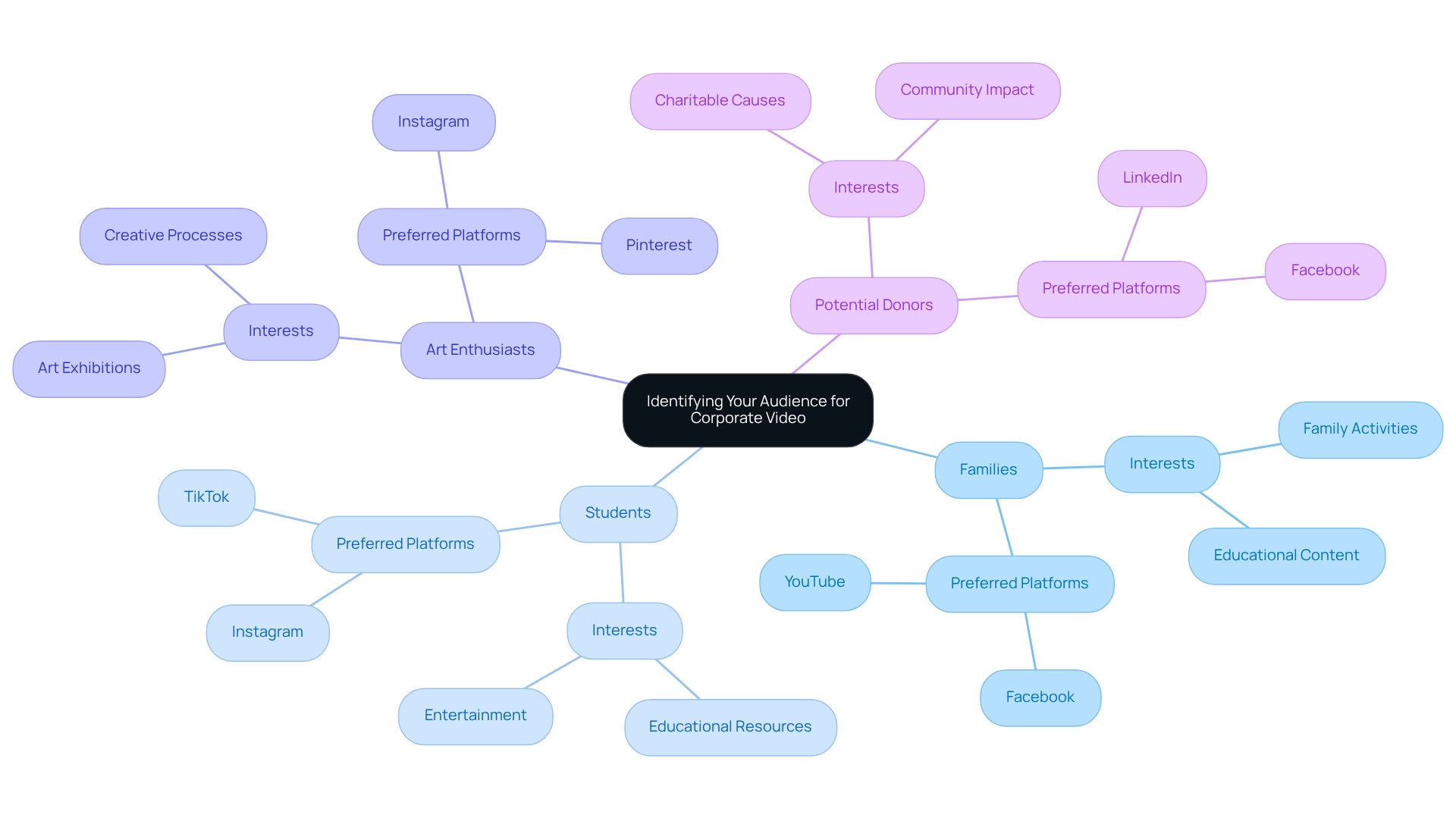 The central node represents the main goal of identifying the audience, with branches showing different audience segments and their specific interests and preferred video platforms.