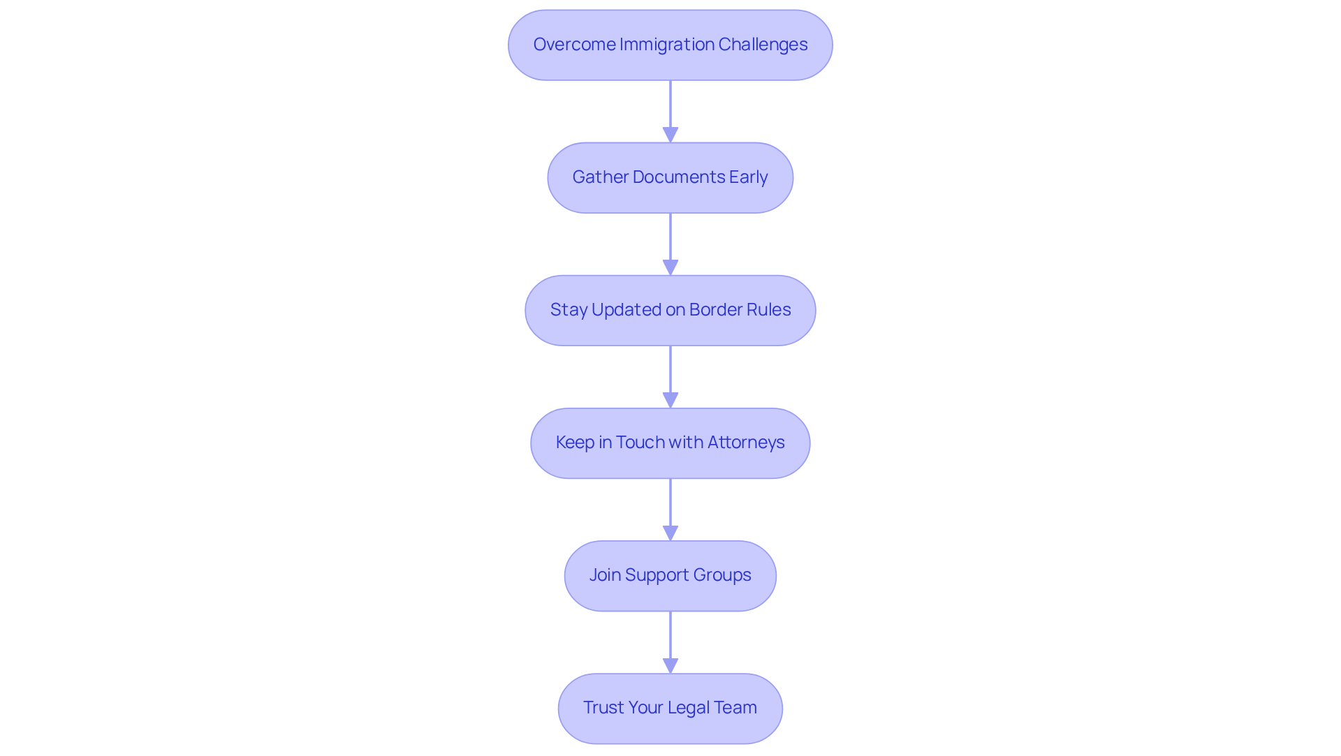 Each box represents a step you can take to navigate immigration challenges. Follow the arrows to see the order in which you should tackle these steps for the best results.