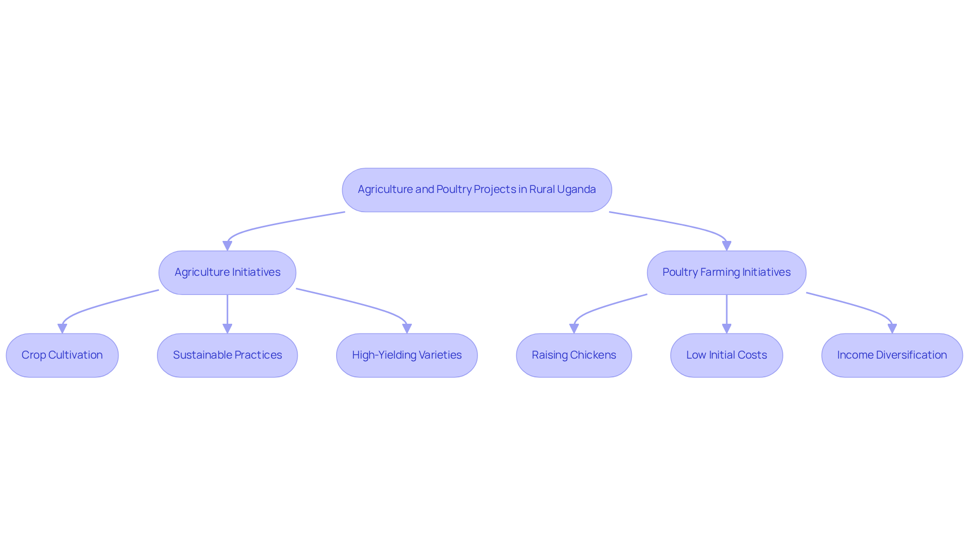 This flowchart shows how agriculture and poultry projects work together to improve food security and economic opportunities. Each box represents a key initiative or benefit, and the arrows illustrate how these initiatives connect and support each other.