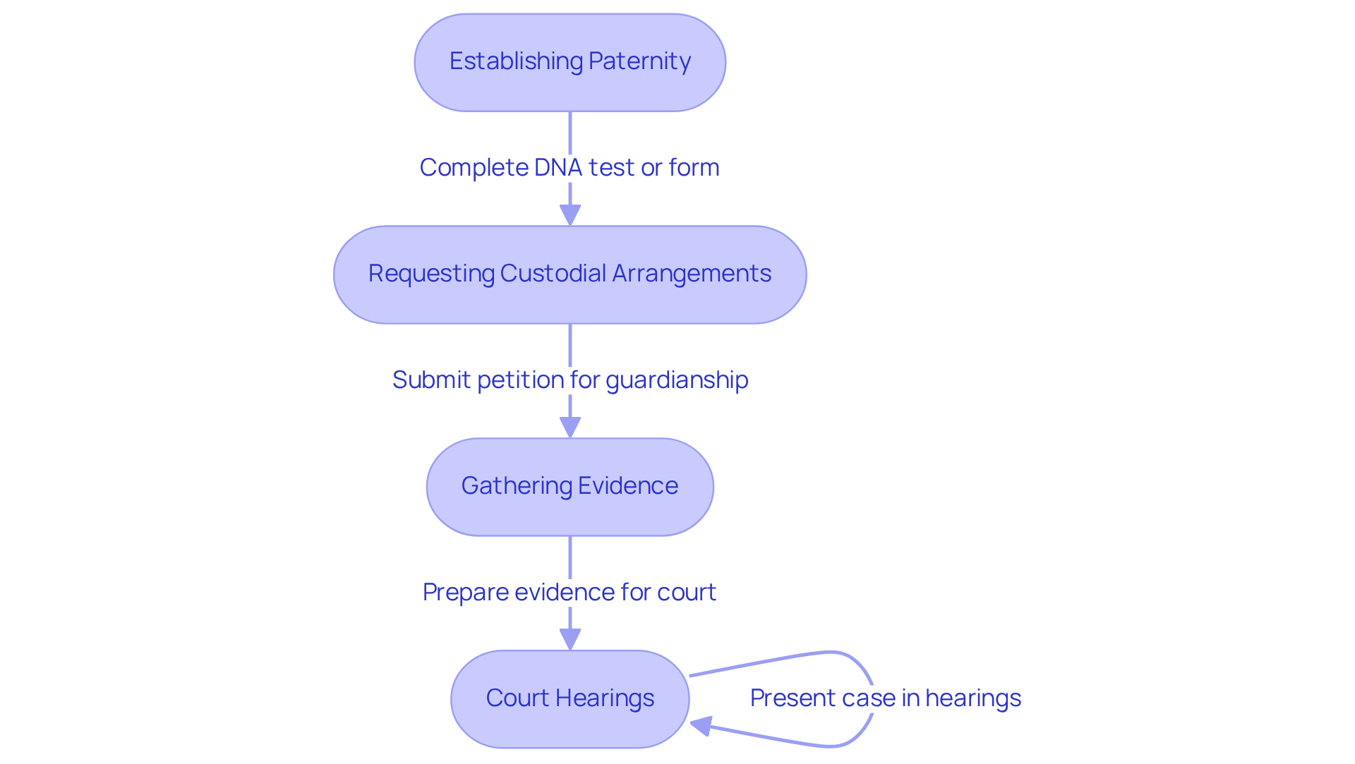 This flowchart outlines the steps fathers can take to secure their rights. Start at the top and follow the arrows down to see what actions to take at each stage of the legal process.