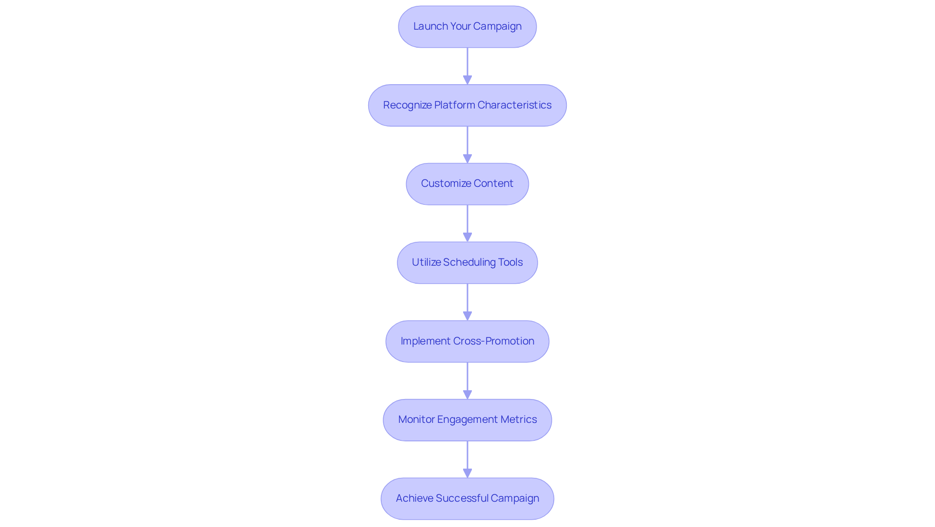 Each box represents a crucial step in the campaign launch process. Follow the arrows to see how each step leads to the next, ultimately guiding you to a successful campaign. Each box represents a crucial step in the campaign launch process. Follow the arrows to see how each step leads to the next, ultimately guiding you to a successful campaign.