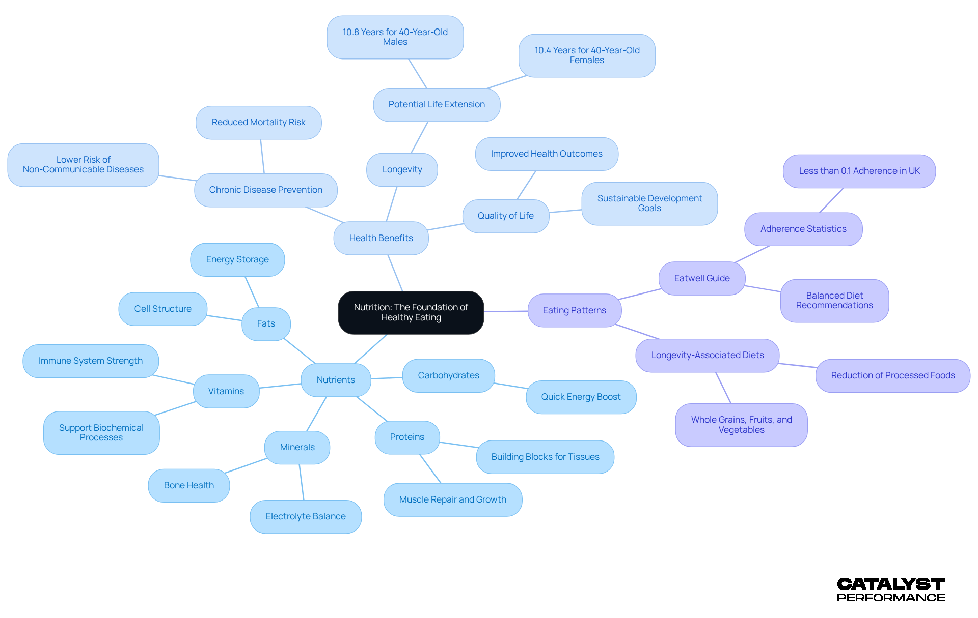 The central node represents the concept of nutrition, while branches show different nutrients and their roles. Each color-coded section highlights how these nutrients contribute to health and longevity. The central node represents the concept of nutrition, while branches show different nutrients and their roles. Each color-coded section highlights how these nutrients contribute to health and longevity.