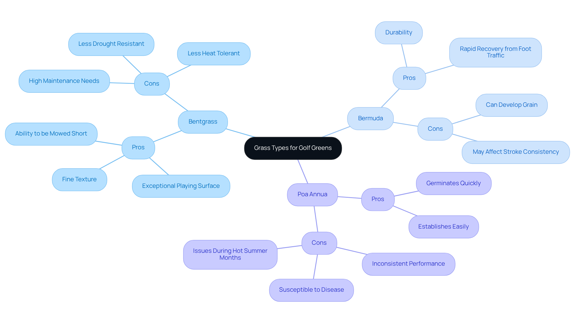 The central node represents the overall topic, while each branch shows a specific grass type. Pros and cons are listed under each type, helping you quickly compare their strengths and weaknesses.