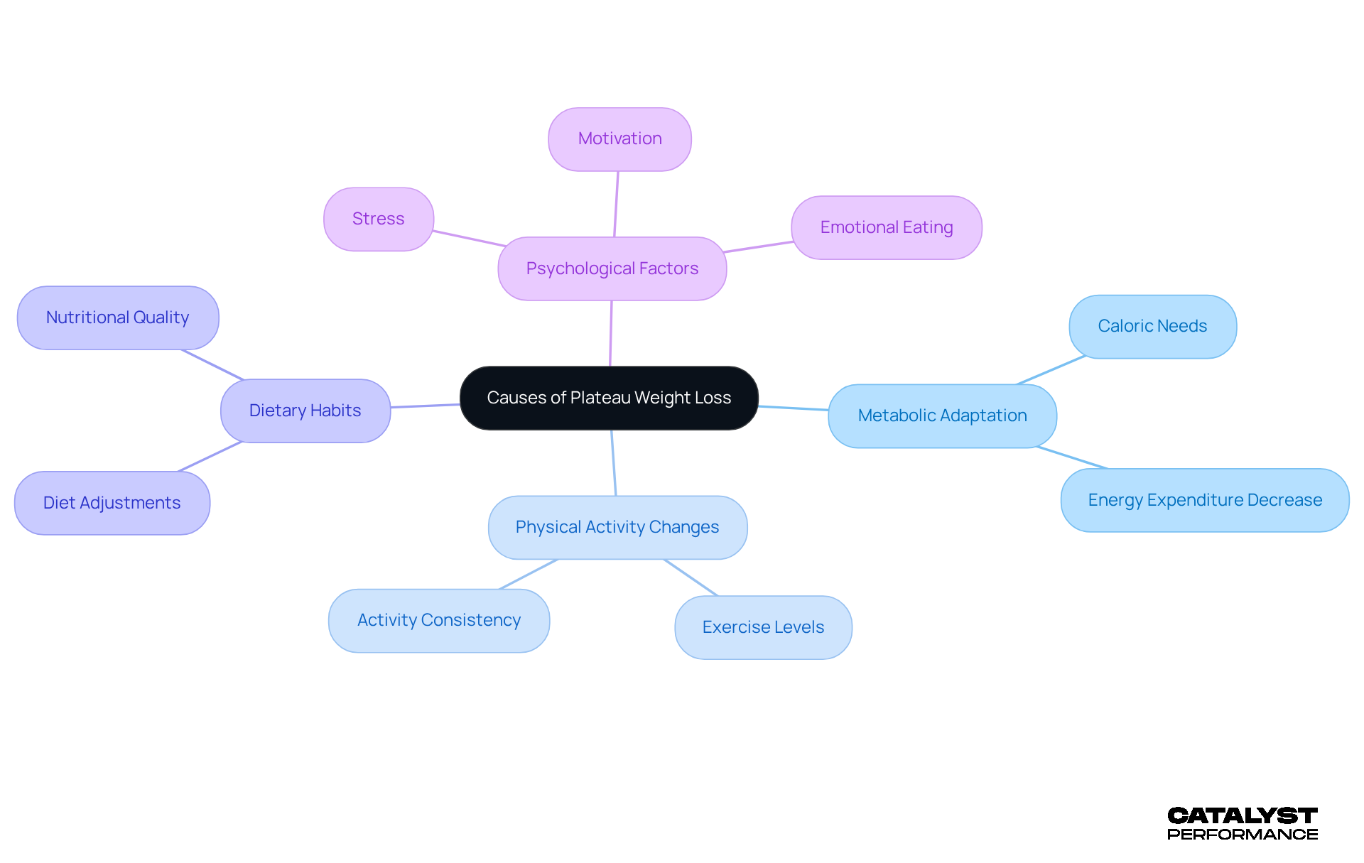 The central node represents the main topic, while the branches show different factors that can affect weight loss. Each branch and sub-branch helps you see how these elements connect and influence your journey.