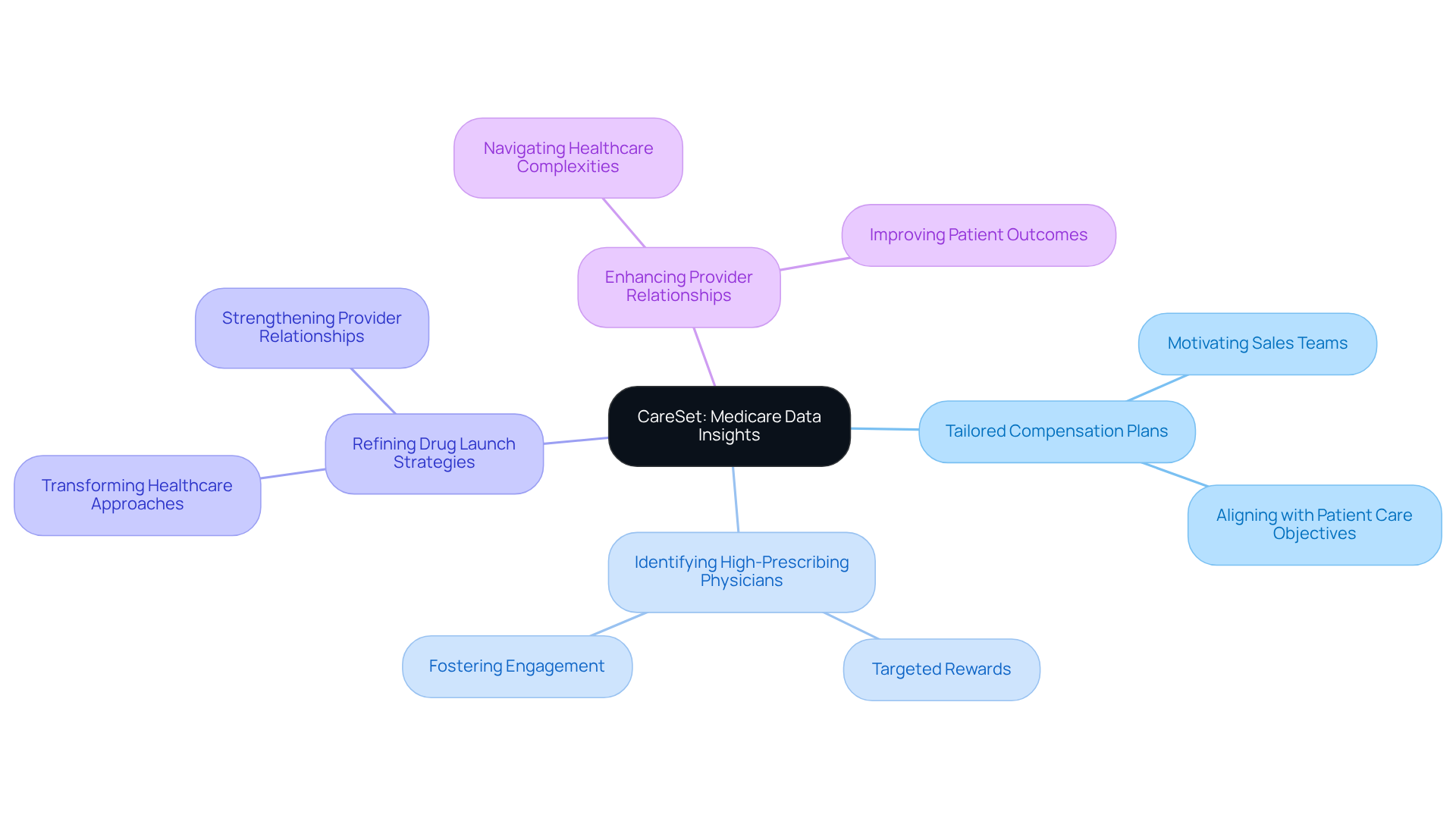 The central node represents CareSet's focus on Medicare data, while the branches illustrate how this data can be applied to various strategies, enhancing both sales and patient care.