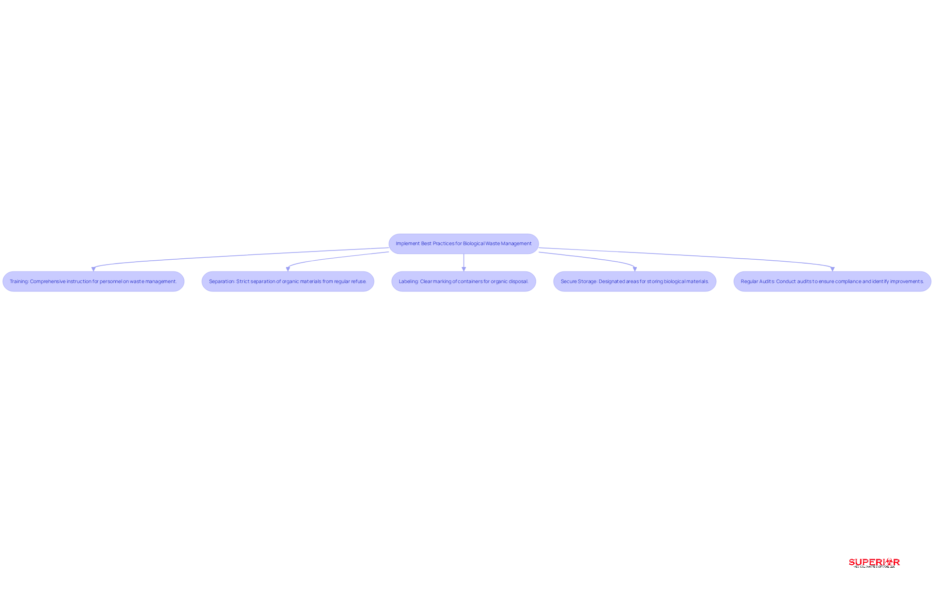 Each box represents a key practice in managing biological waste. Follow the arrows to see how these practices connect and contribute to safer waste management in healthcare settings.