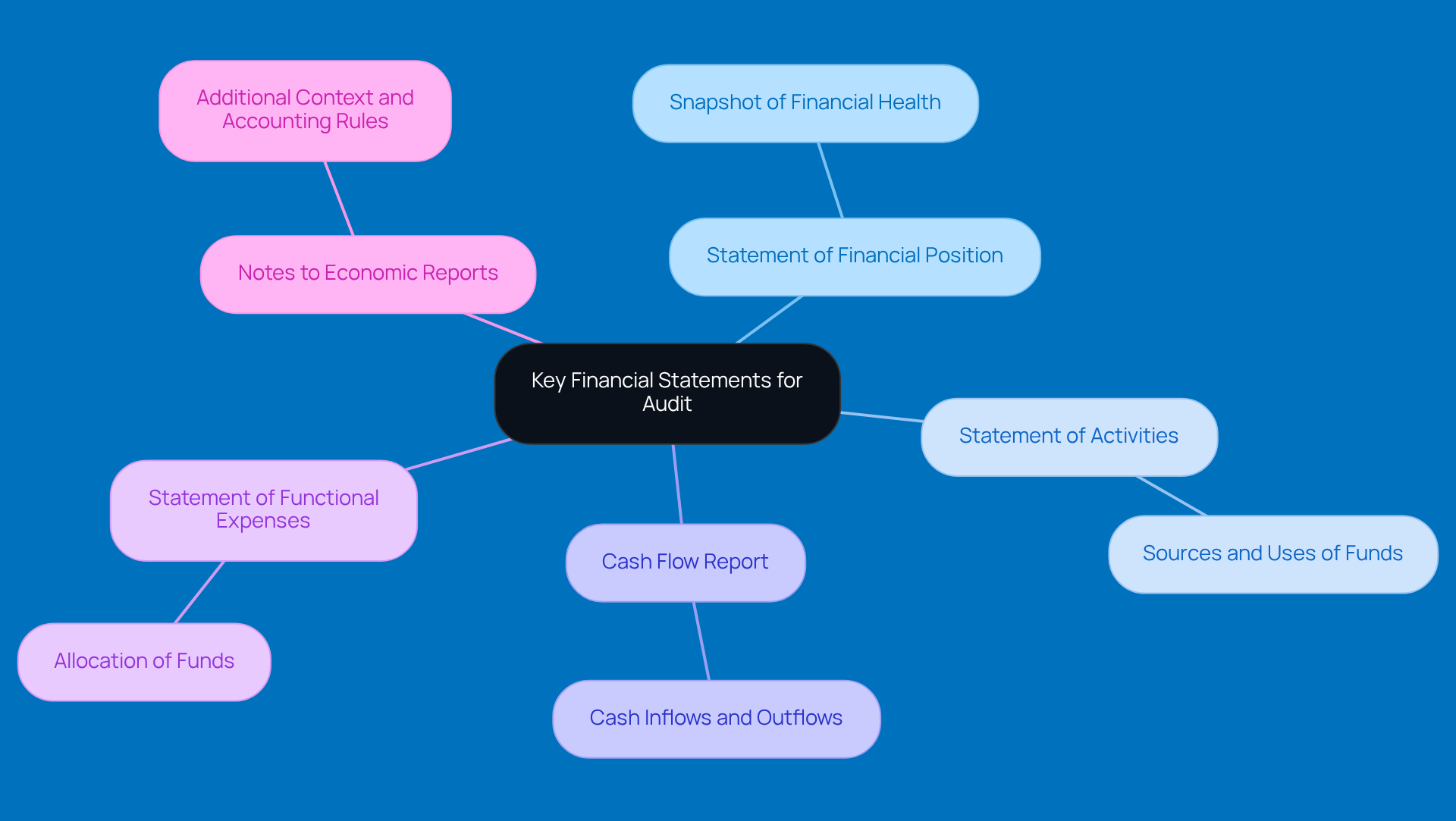The center shows the main topic of financial statements needed for audits. Each branch represents a specific statement, and the sub-branches explain what each statement does. This helps you see how each part contributes to the overall audit process.