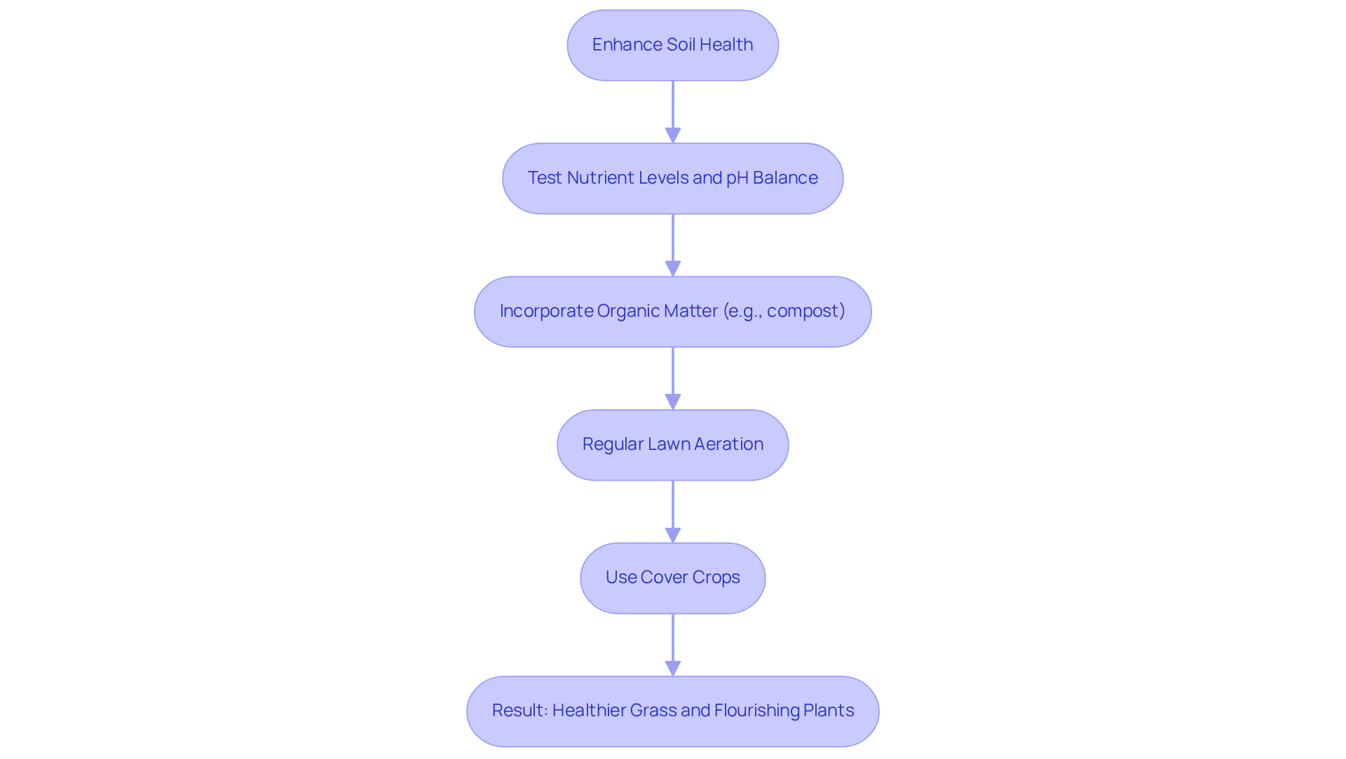 Follow the arrows to see how each step contributes to improving soil health. Starting from testing the soil, each action builds on the last to create a thriving environment for plants.