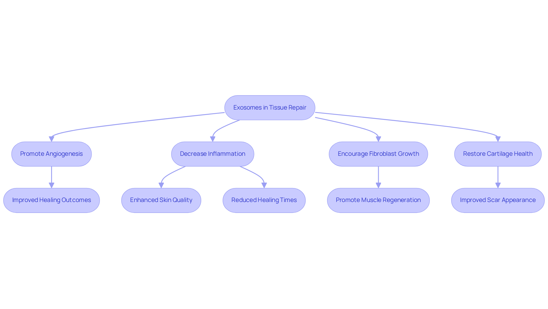 This flowchart illustrates how exosomes contribute to healing. Start at the top with exosomes, then follow the arrows to see how they promote various healing processes. Each function leads to specific benefits, showing the comprehensive role of exosomes in recovery. This flowchart illustrates how exosomes contribute to healing. Start at the top with exosomes, then follow the arrows to see how they promote various healing processes. Each function leads to specific benefits, showing the comprehensive role of exosomes in recovery.
