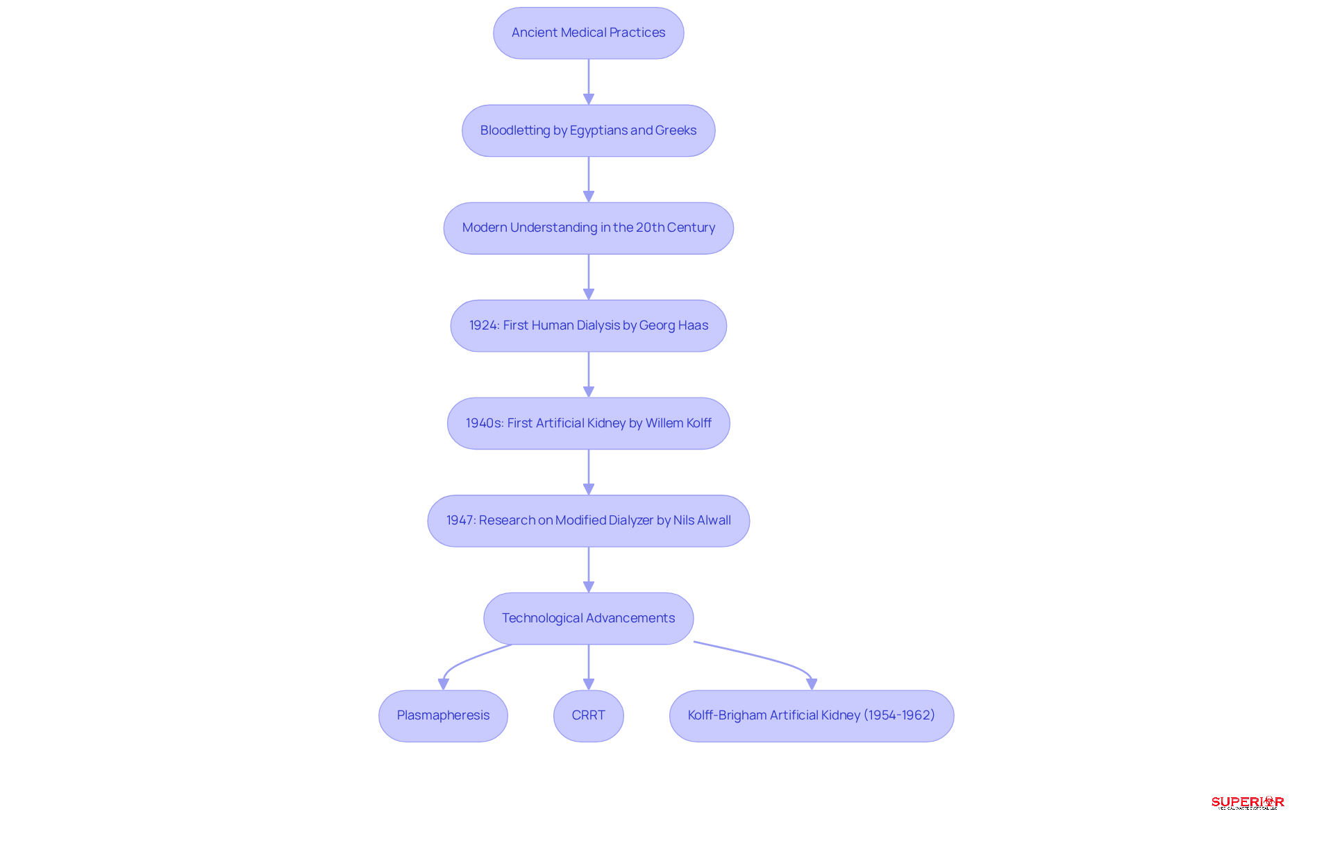 Follow the arrows to see how fluid cleansing has evolved over time, from ancient practices to modern innovations. Each box represents a key milestone in the history of blood purification.
