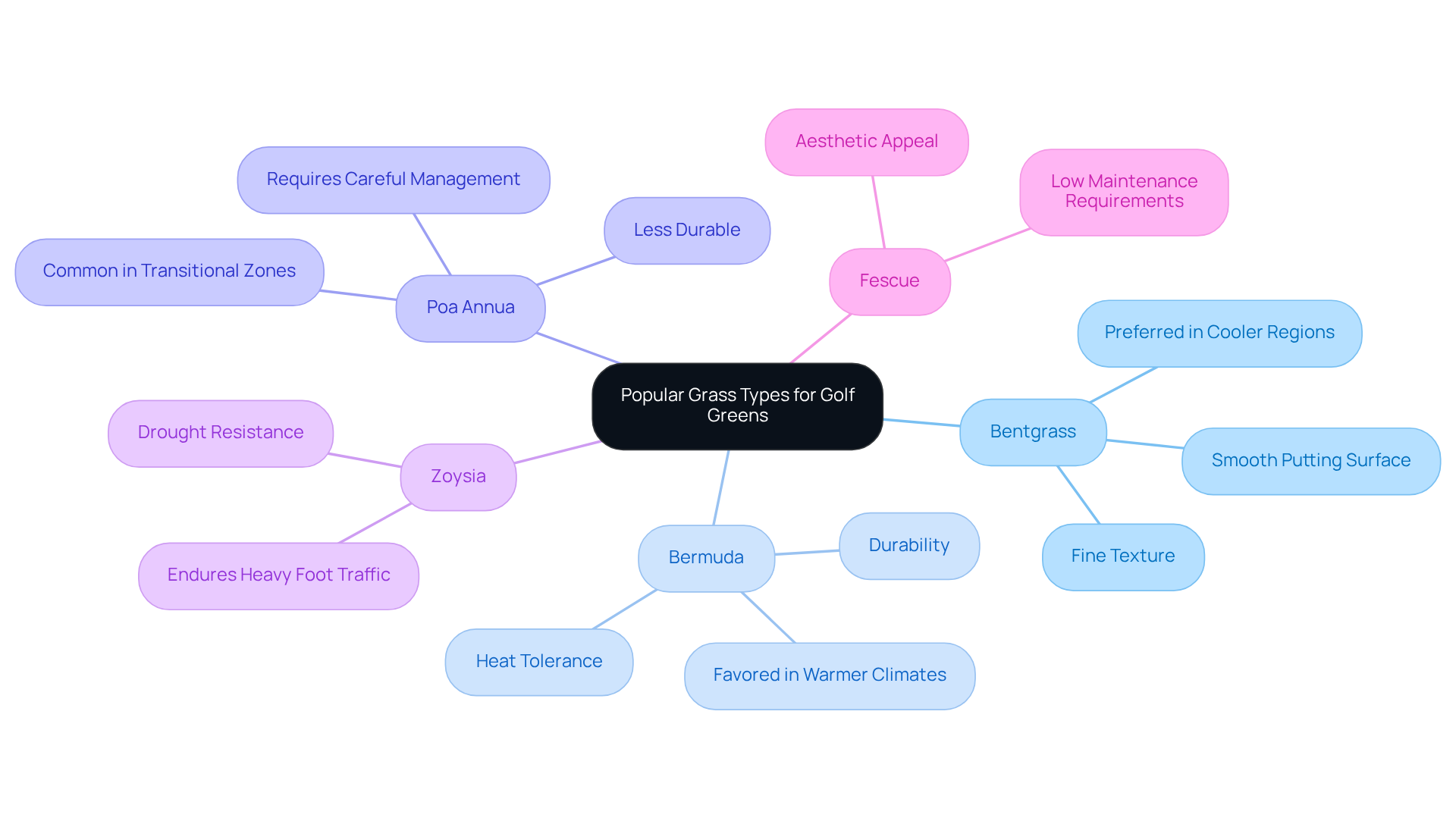 The central node represents the main topic, while each branch shows a different type of grass. The sub-branches provide details about their characteristics and suitability, helping you understand which grass might be best for specific conditions.