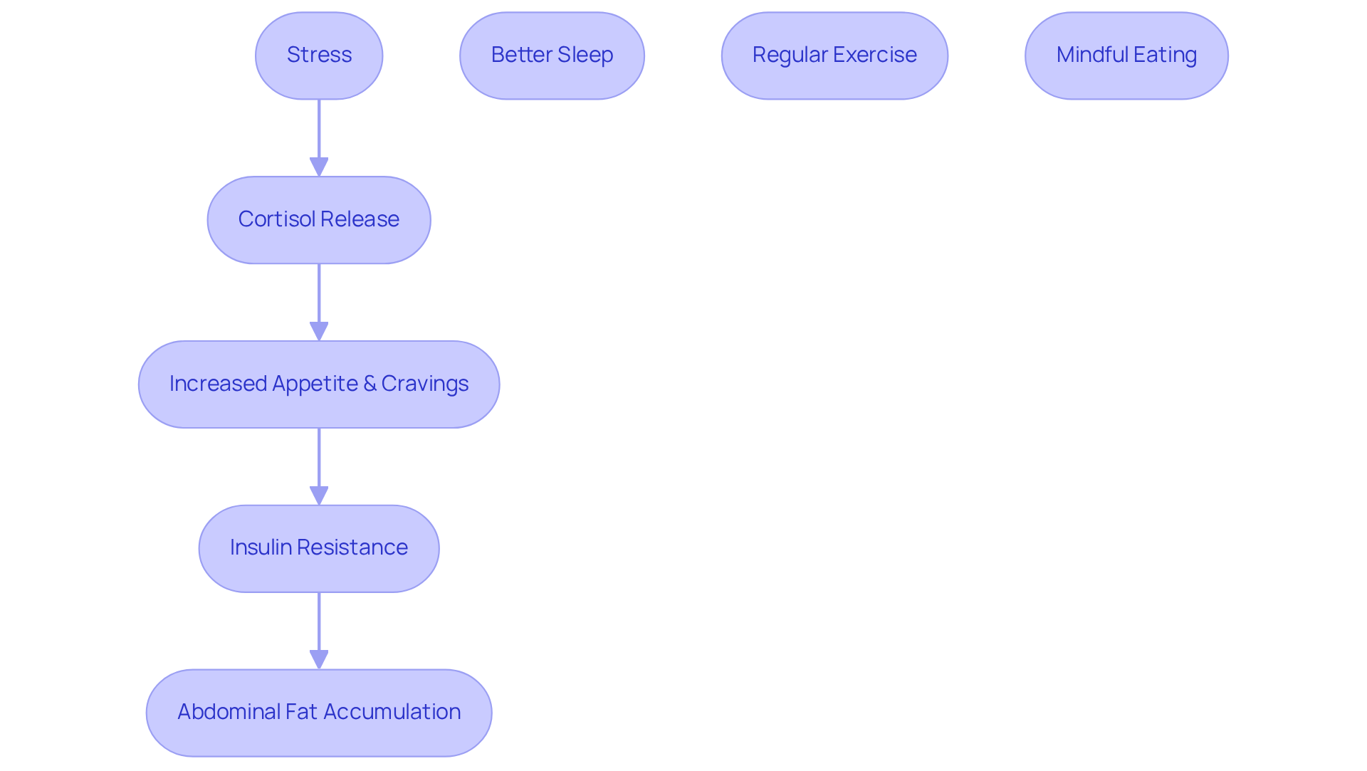Understand Adrenal Stress Belly Fat and How to Manage It