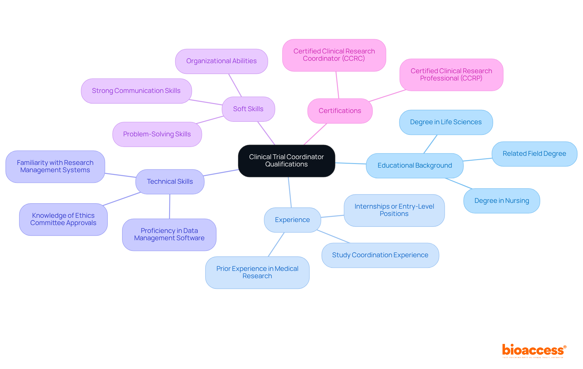 The central node represents the overall qualifications needed for the role, while the branches show specific areas of focus. Each sub-branch provides detailed requirements, helping applicants understand what is expected.