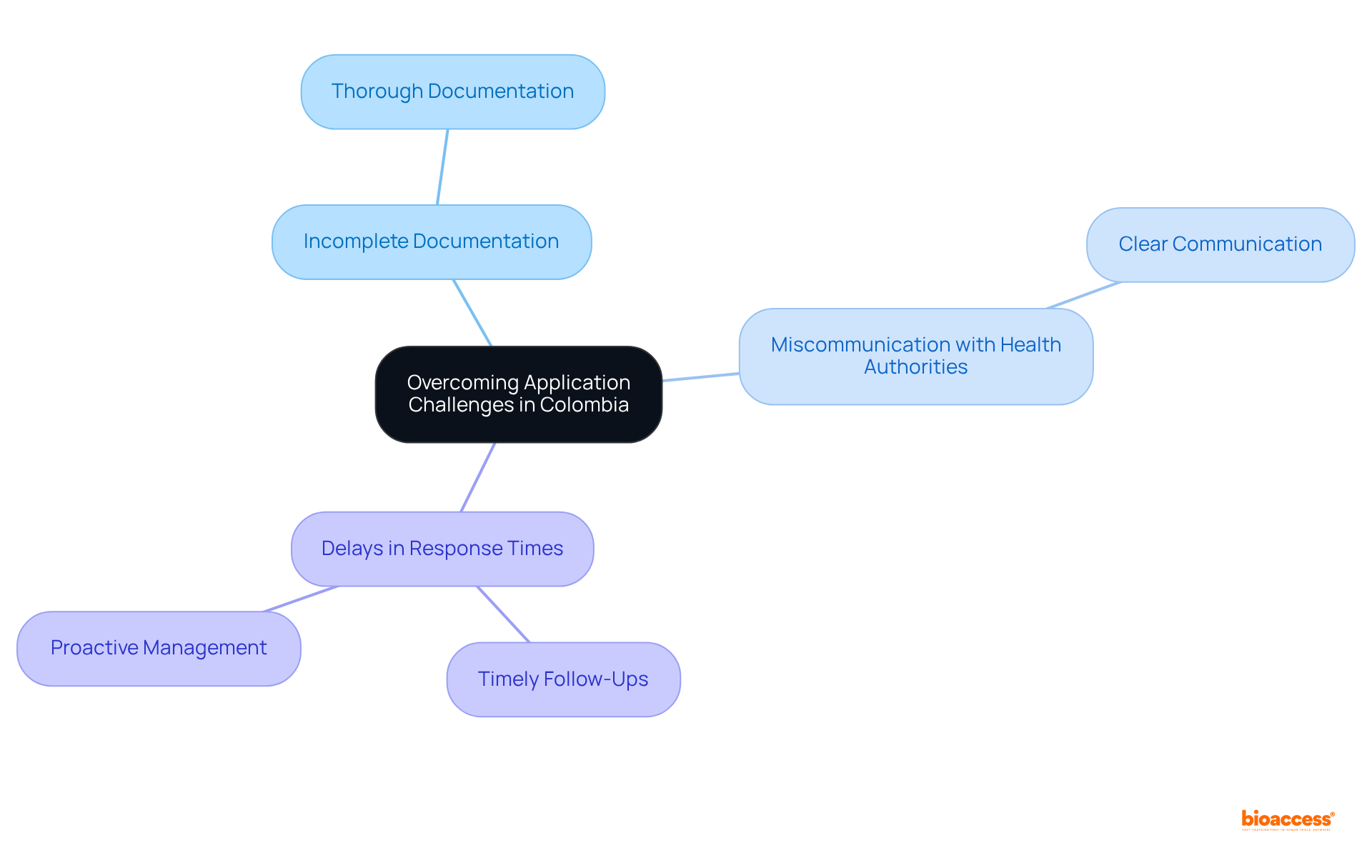 The central idea represents the goal of overcoming challenges in application processes. Each branch represents a specific challenge, and the sub-branches provide strategies to address those challenges. Follow the lines to see how each challenge connects to its solutions.