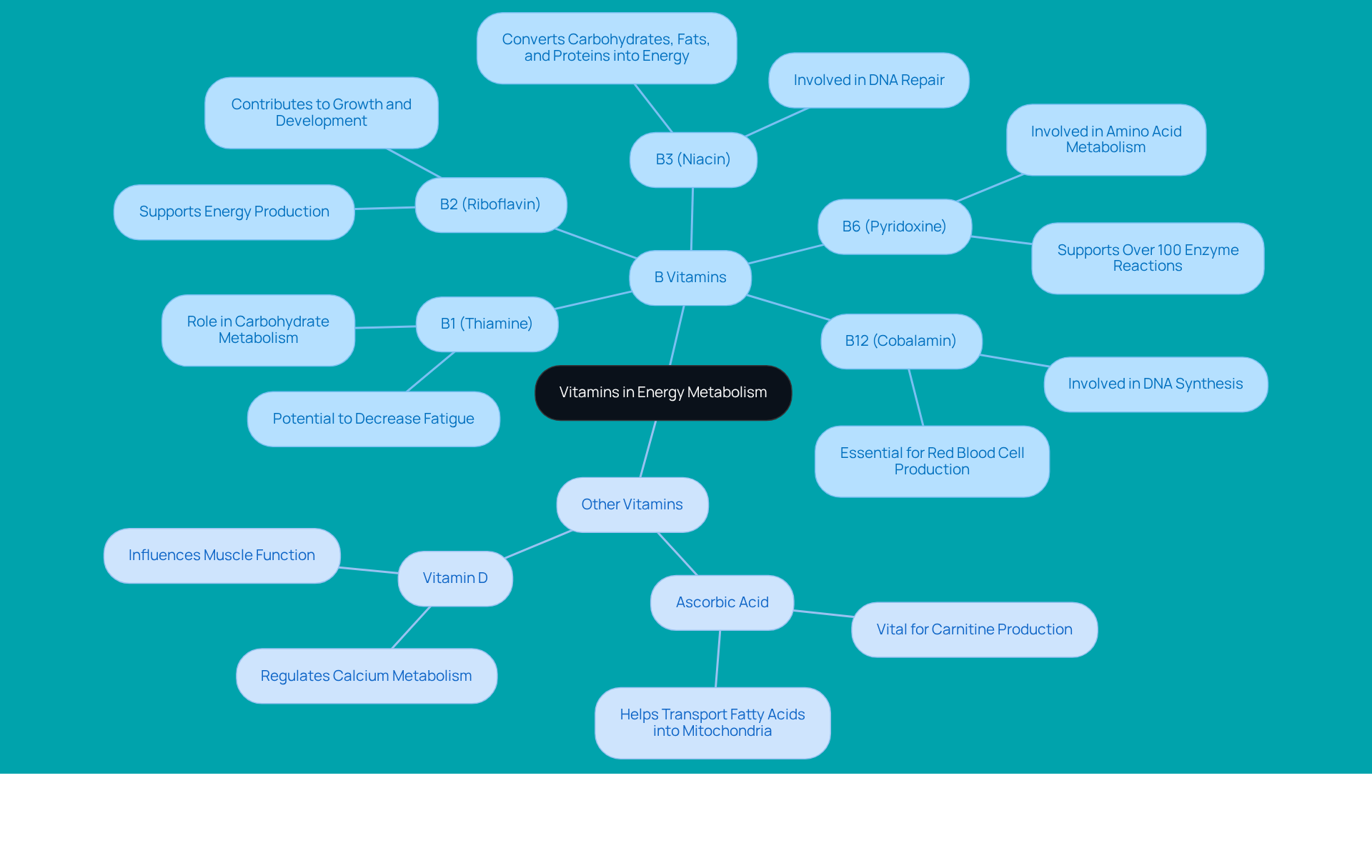 The central node represents the overall topic, while the branches illustrate how each vitamin contributes to energy metabolism. The more detailed the branch, the more specific the role of that vitamin in energy production.