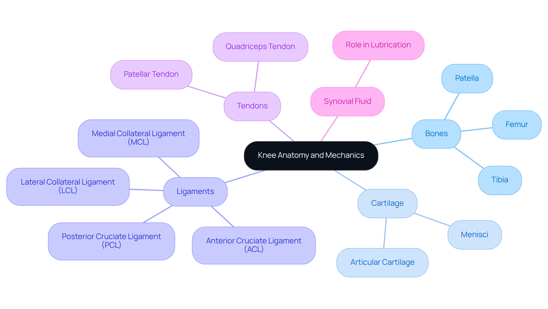 This mindmap illustrates the key components of the knee joint. Start at the center with the main topic, then explore each branch to learn about the bones, cartilage, ligaments, tendons, and synovial fluid that make up this complex joint. Each branch shows how these parts work together to support mobility and stability. This mindmap illustrates the key components of the knee joint. Start at the center with the main topic, then explore each branch to learn about the bones, cartilage, ligaments, tendons, and synovial fluid that make up this complex joint. Each branch shows how these parts work together to support mobility and stability.