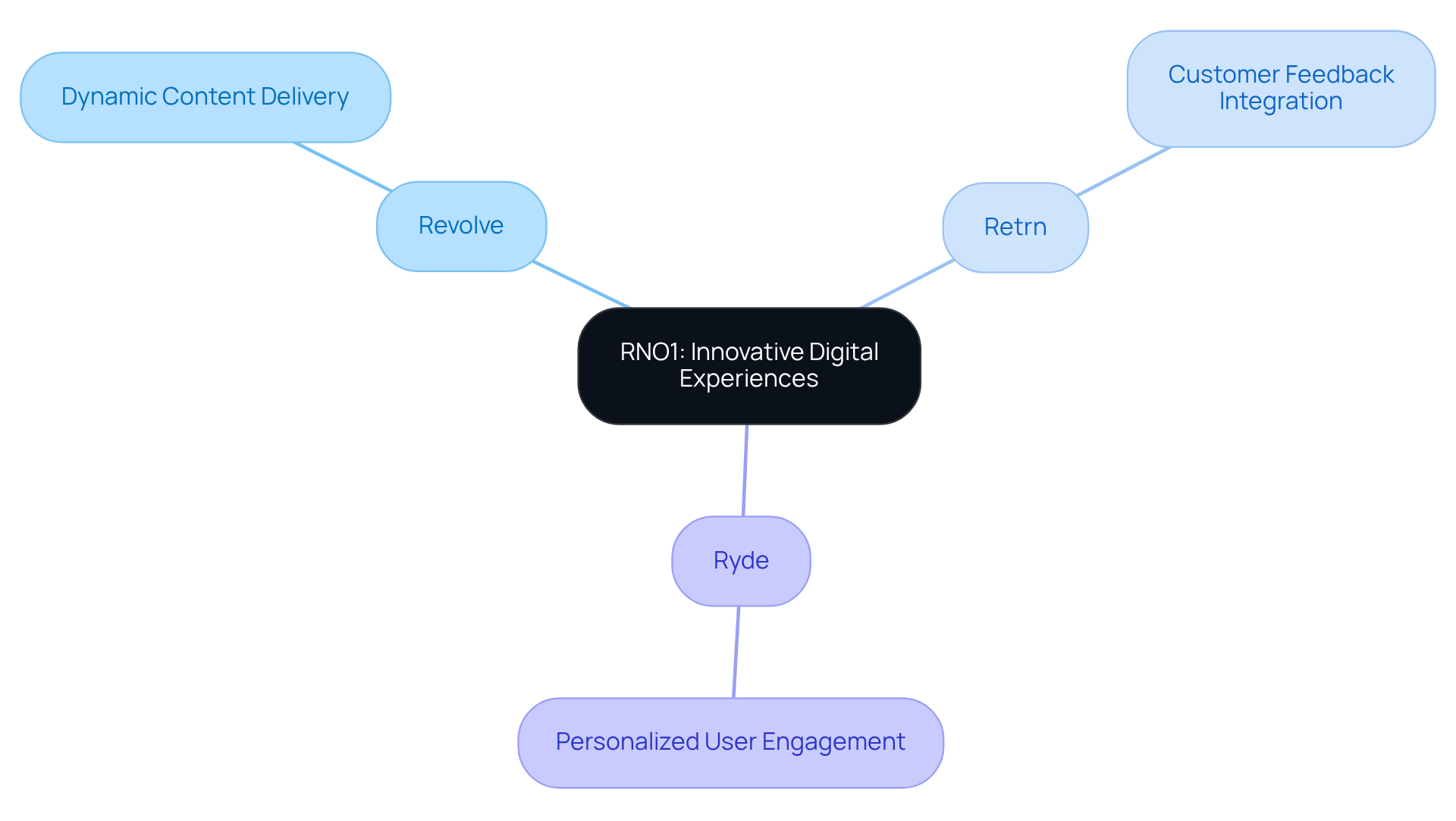 The center shows RNO1's focus on digital experiences, and the branches represent different subscription models, each detailing how they help businesses connect with customers.