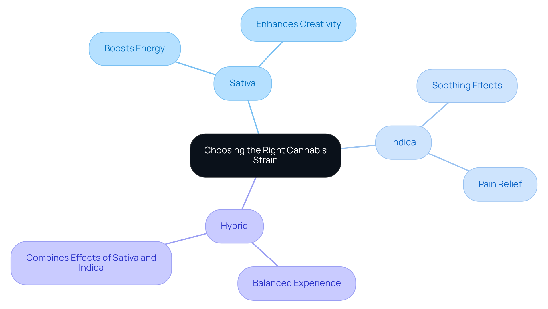 The center represents the main topic of choosing a cannabis strain. Each branch shows a type of strain, and the sub-branches explain what effects you can expect from each type. This helps you see how different strains can meet your personal needs. The center represents the main topic of choosing a cannabis strain. Each branch shows a type of strain, and the sub-branches explain what effects you can expect from each type. This helps you see how different strains can meet your personal needs.